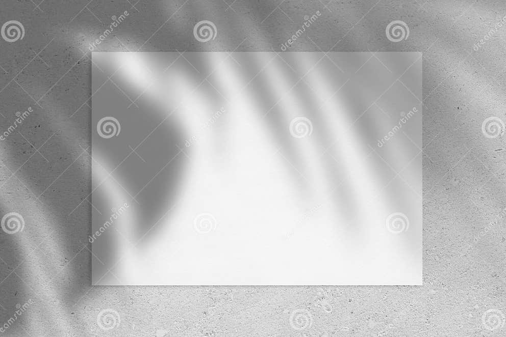 Empty White Horizontal Rectangle Poster or Card Mockup with Palm Leaves ...