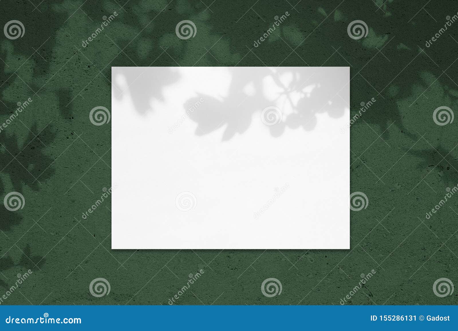 Empty White Horizontal Rectangle Poster Mockup with Leaves Shadows ...