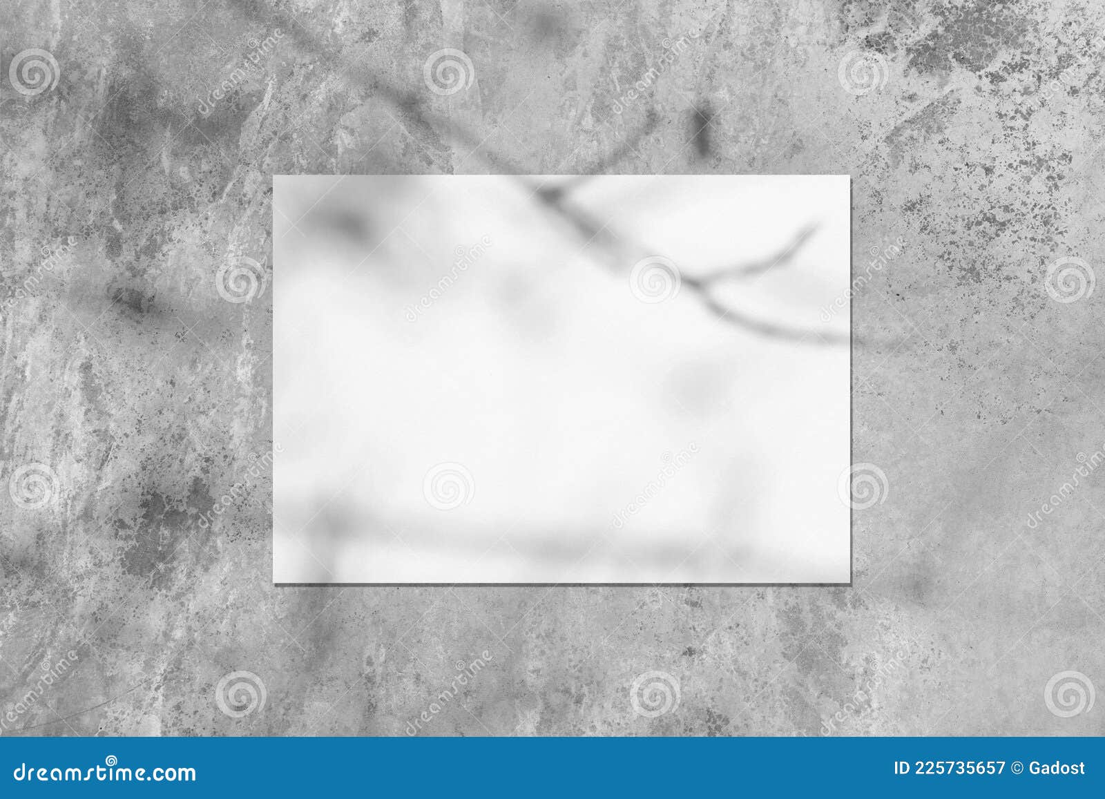 Empty White Horizontal Rectangle Poster Mockup with Soft Tree Leaves ...