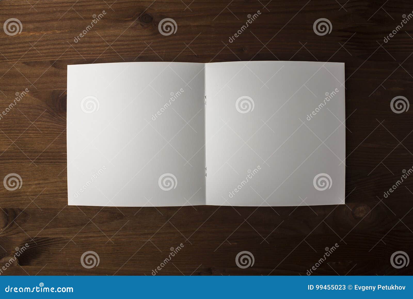 Empty White Paper for Notes, Notebook, Diary, Booklet, Organizer on a ...