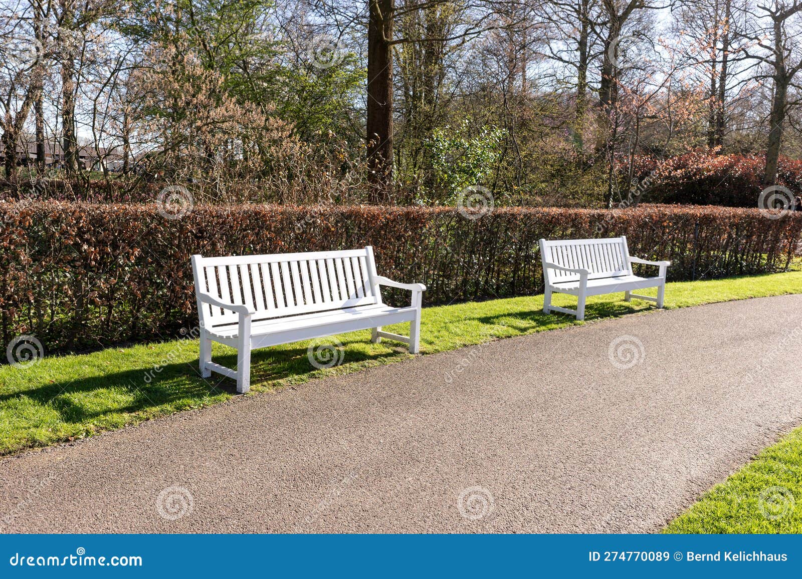 Empty White Park Benches in the Park Stock Image - Image of summer ...