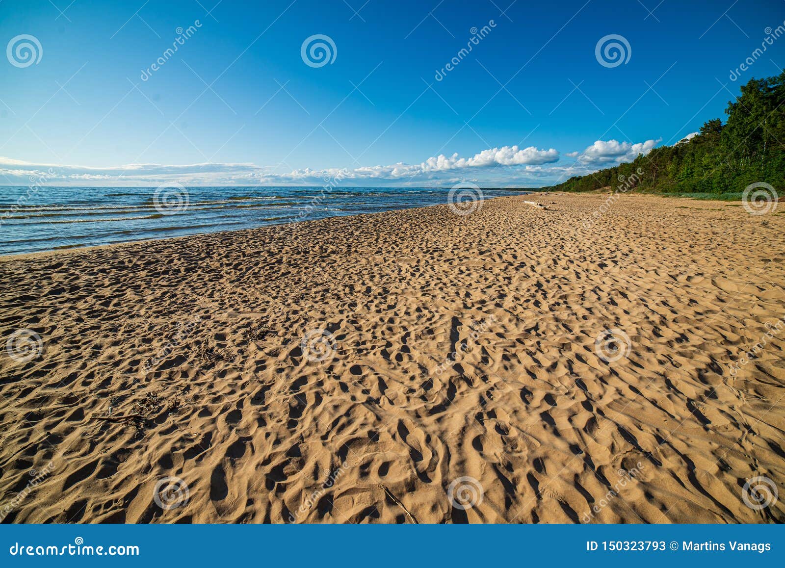 Empty White Sand Beach with No People Stock Image - Image of dawn ...