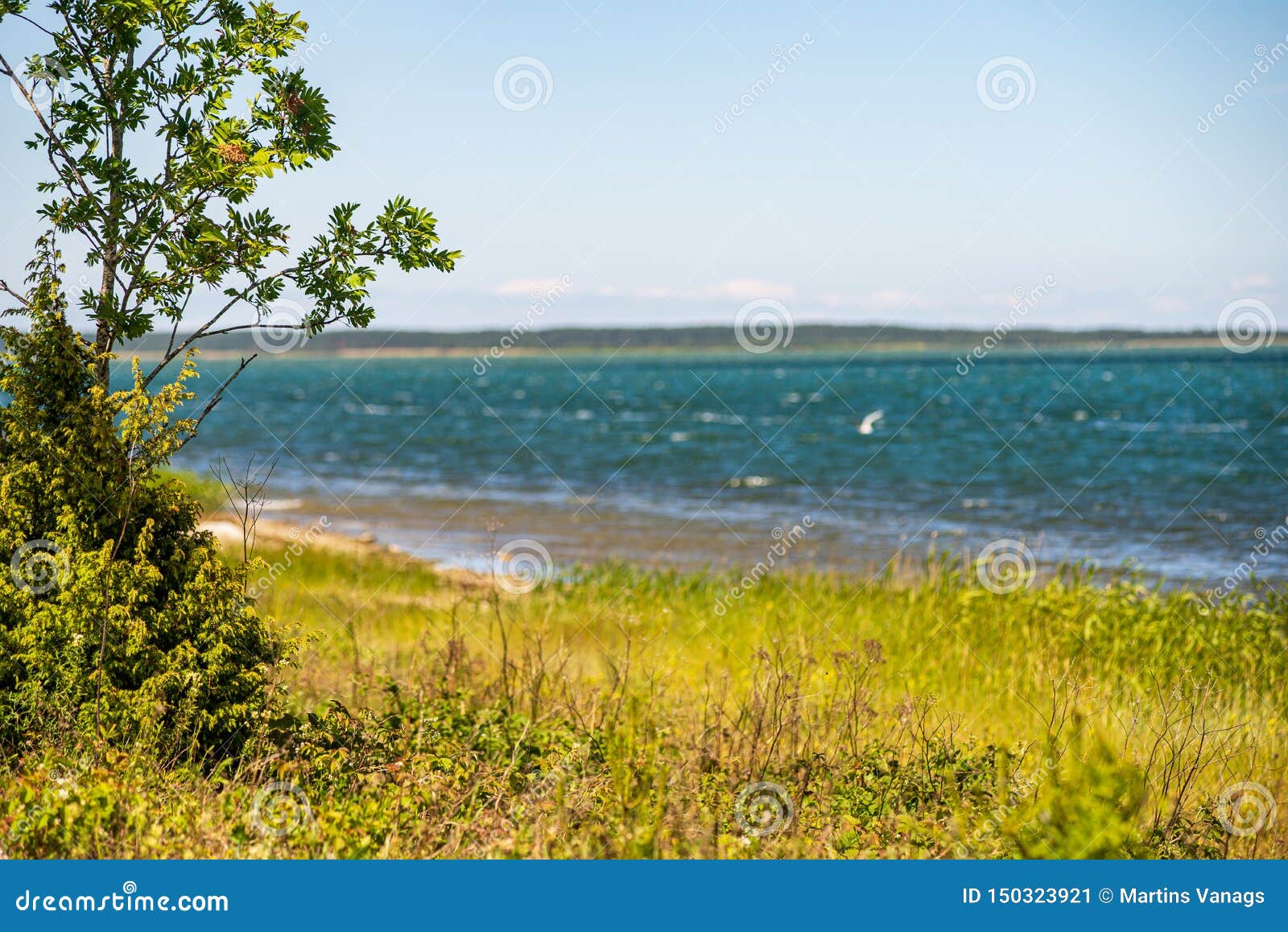 Empty White Sand Beach with No People Stock Image - Image of seashore ...