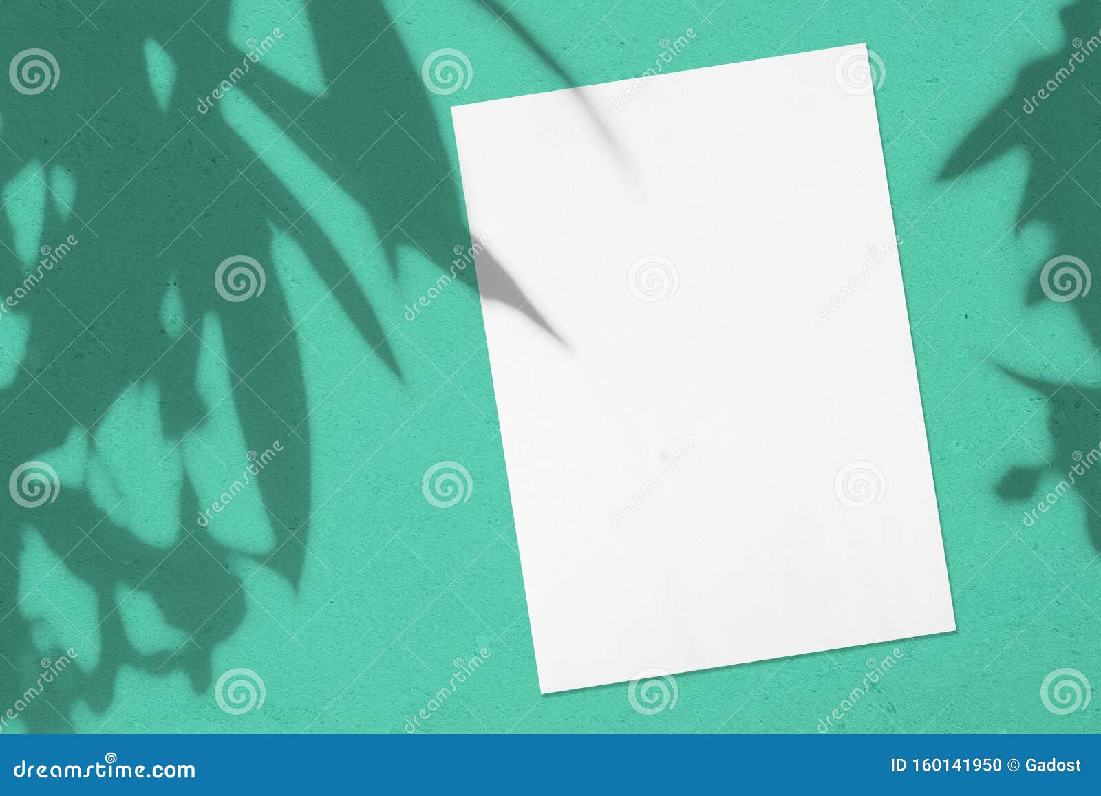 Empty White Vertical Rectangle Poster or Card Mockup with Oleander ...