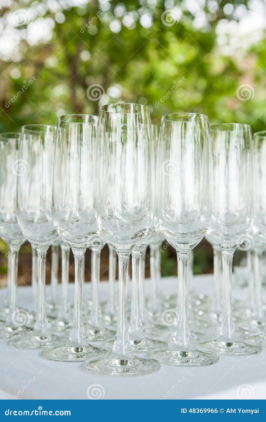 Empty wine glass stock photo. Image of closeup, decoration - 48369966