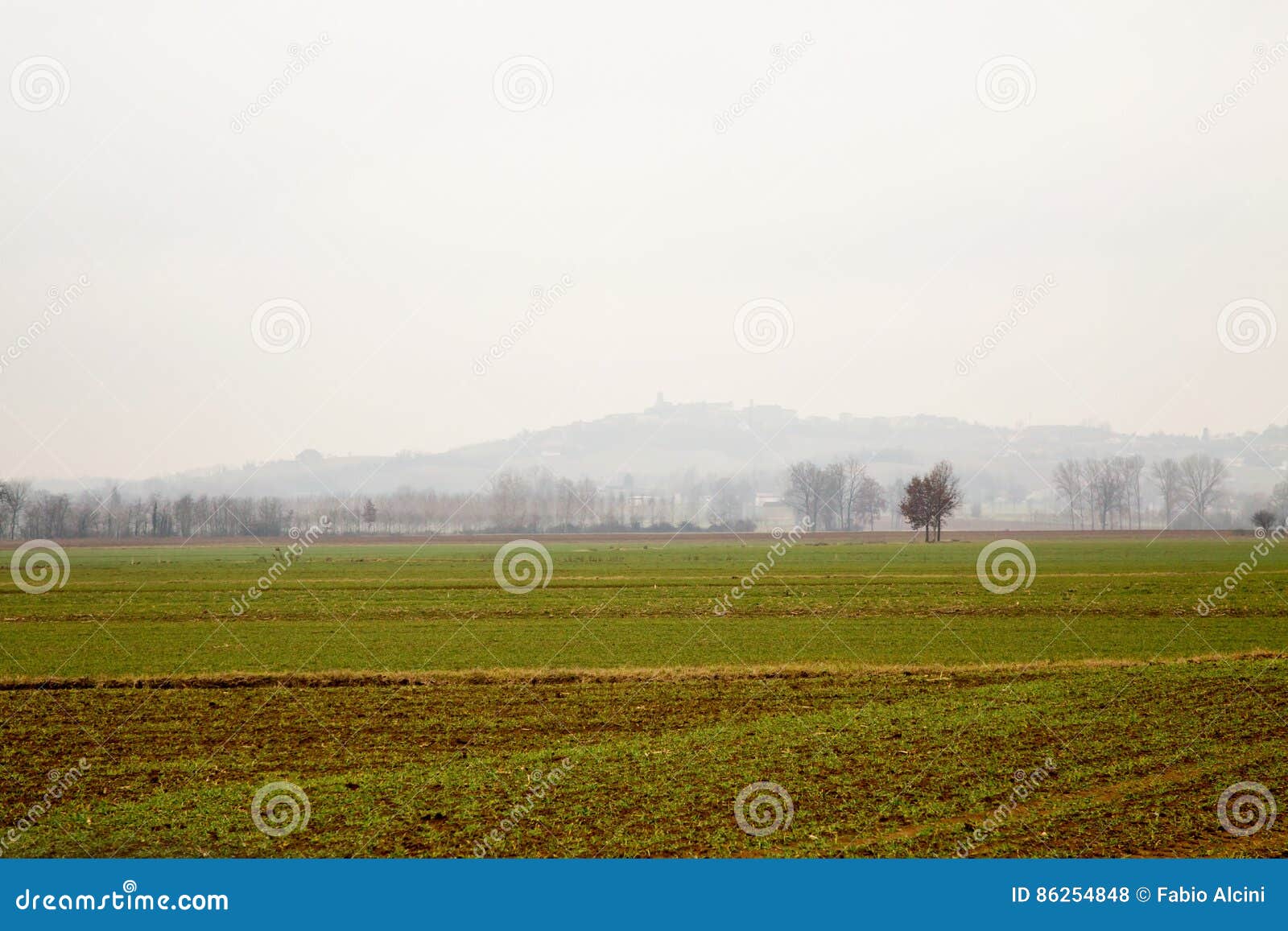 Empty Winter Fields with Hills on the Back Stock Photo - Image of ...