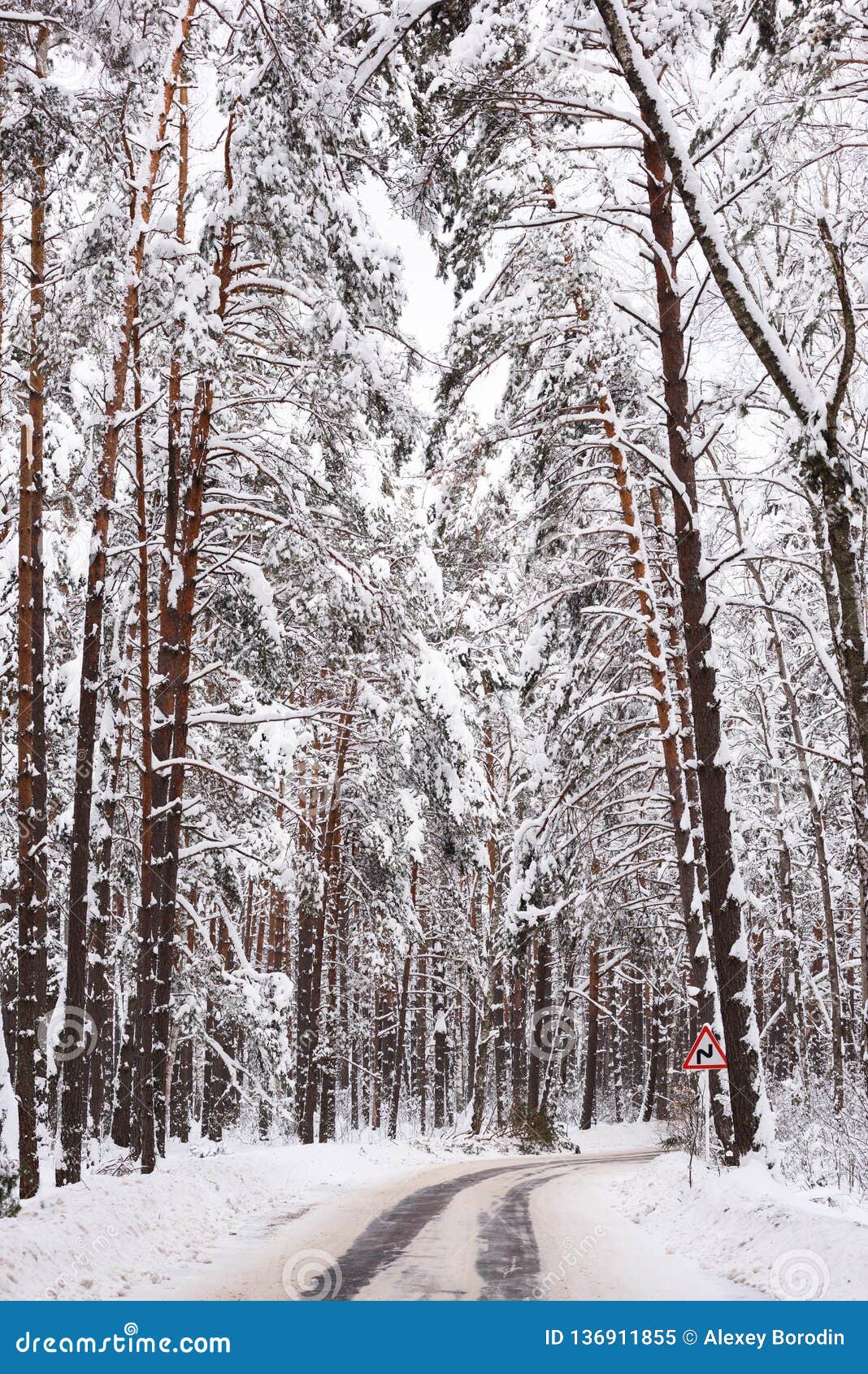 Empty Winter Forest Road. Serene Winter Landscape Stock Image - Image ...