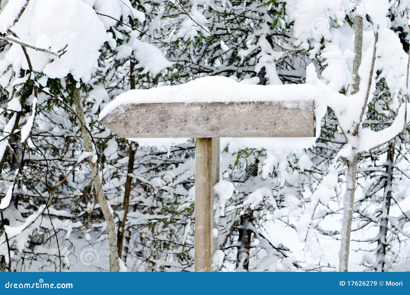 Empty winter sign stock image. Image of arctic, snow - 17626279