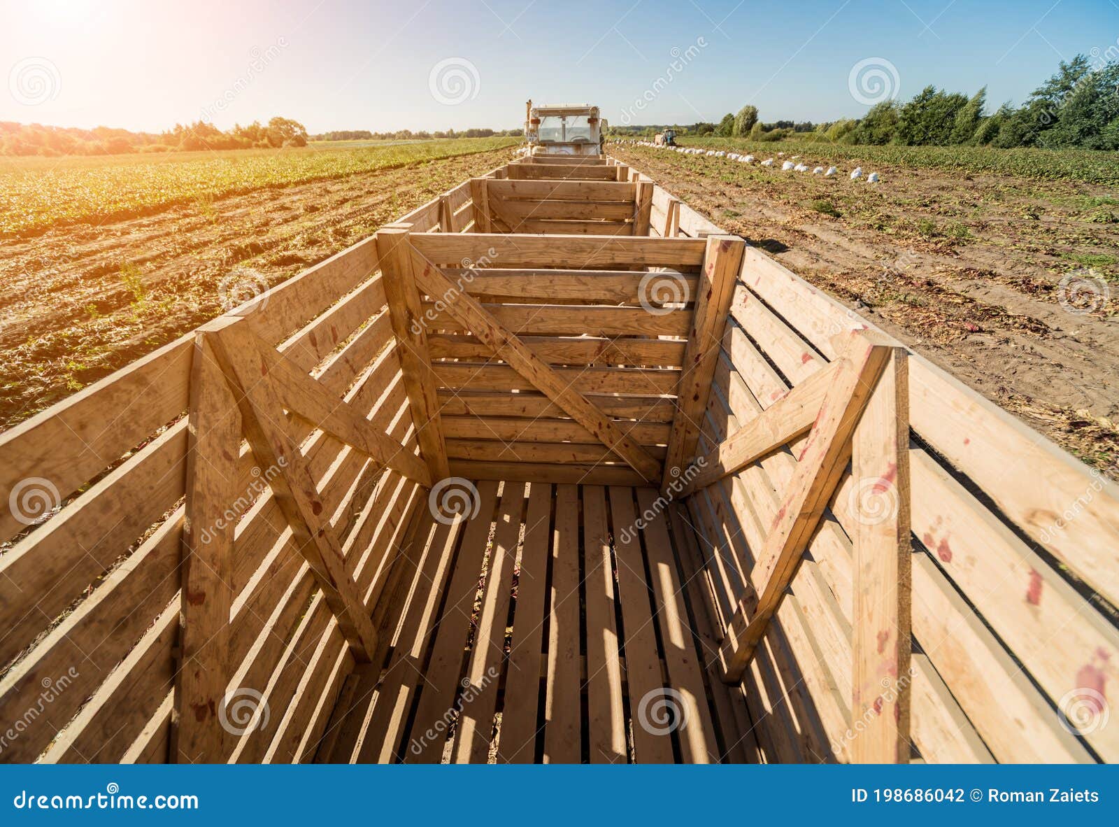 Empty Woden Trailer at the Tractor on Beet Field Stock Photo - Image of ...