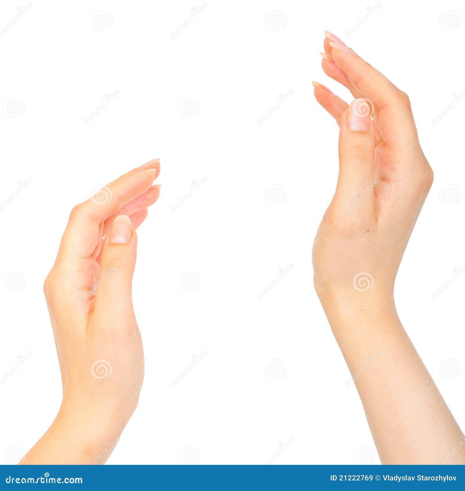 Empty woman hands stock image. Image of background, love - 21222769