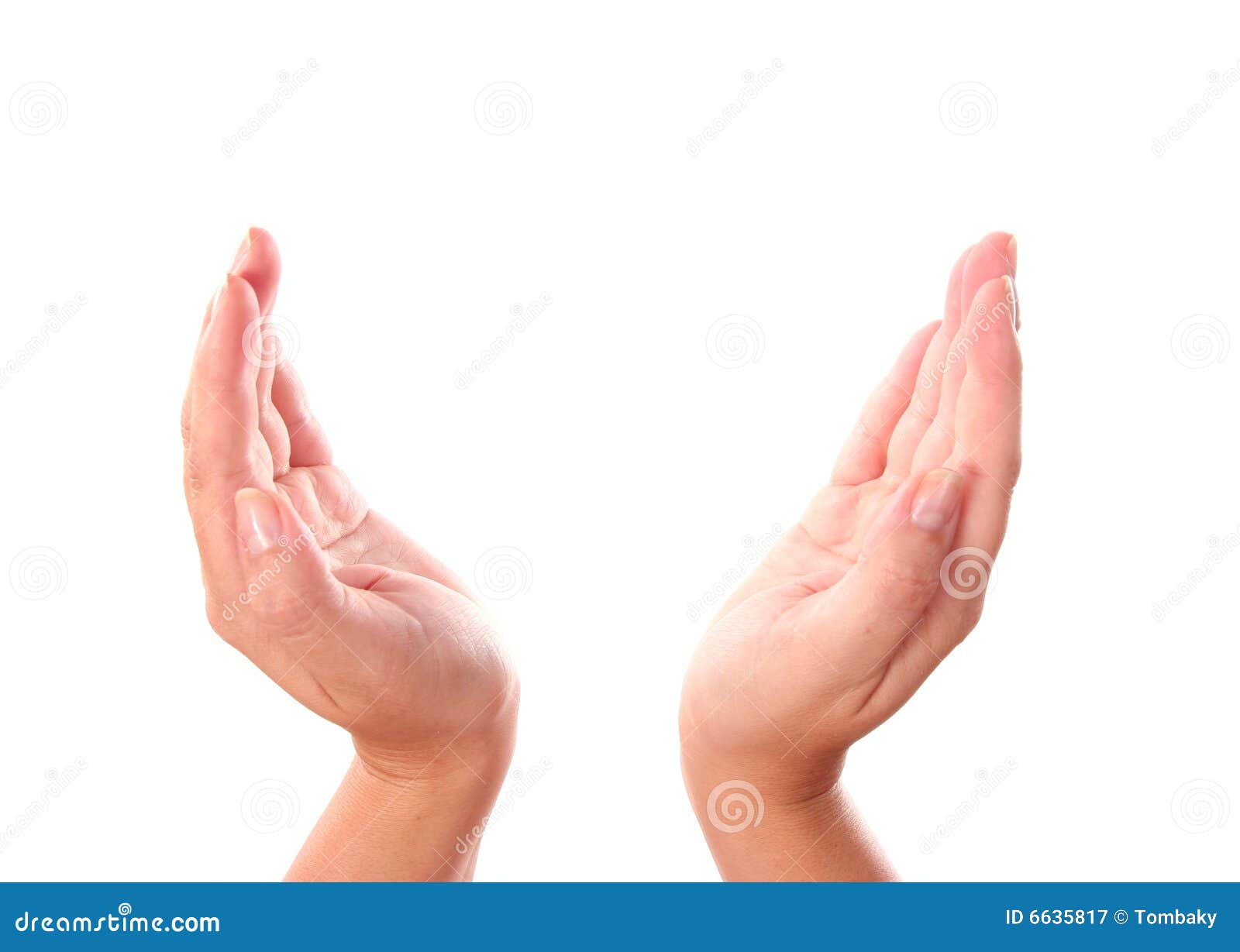 Empty woman hands stock image. Image of close, give, ideas - 6635817