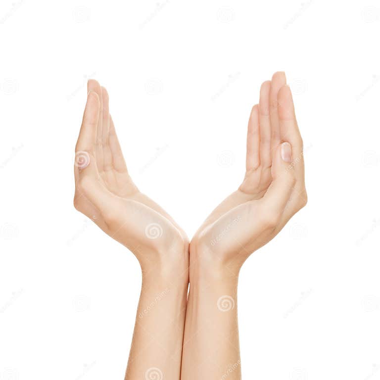 Empty woman hands isolated stock image. Image of ideas - 25753403