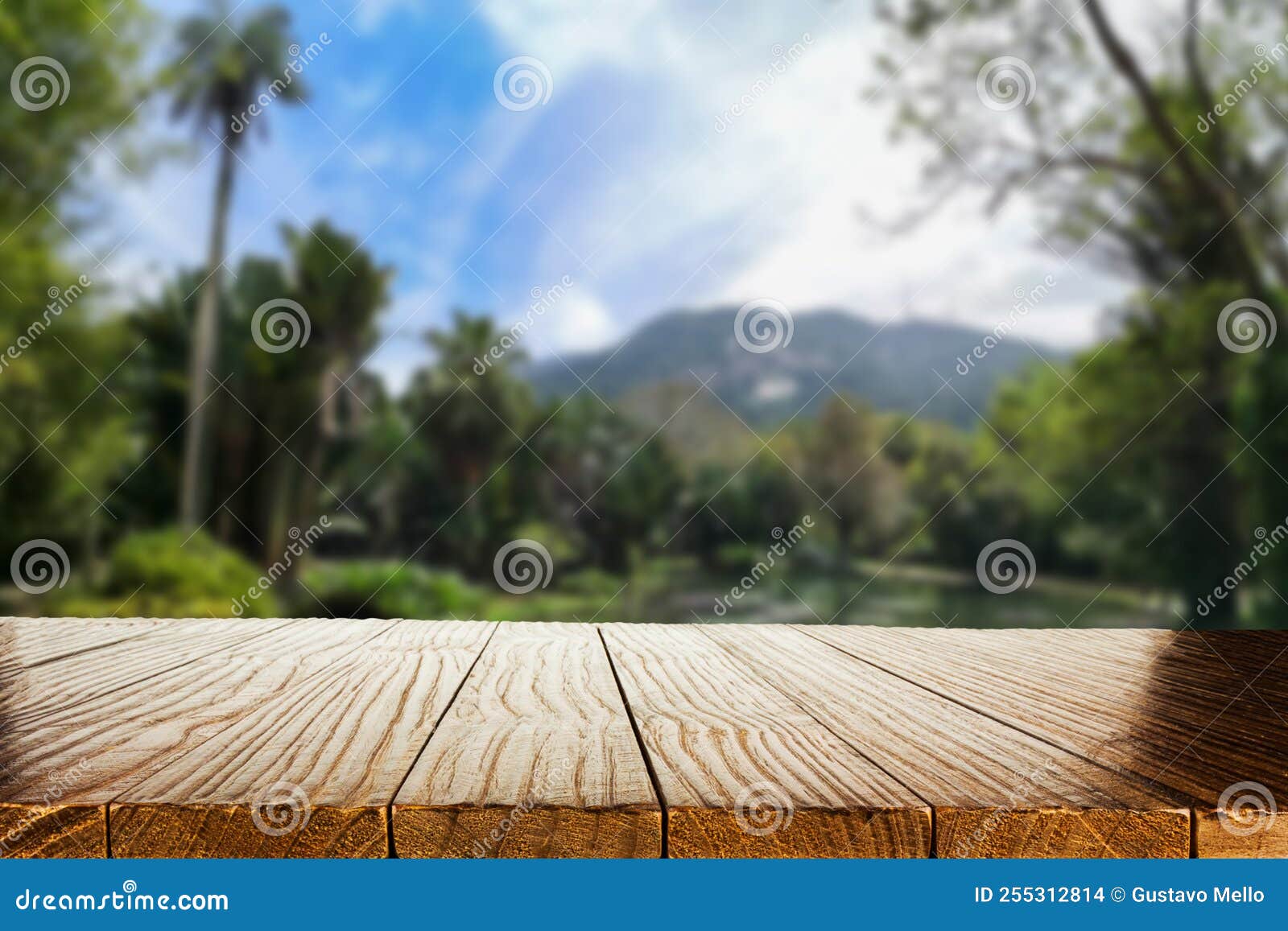 Empty Wood Table with Blurred Background with Tropical Nature Landscape ...