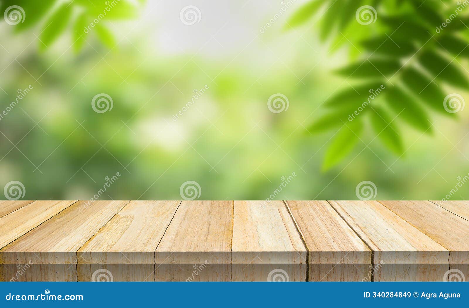 Empty Wood Table Top with Blur Background of Nature Lush Green Forest ...