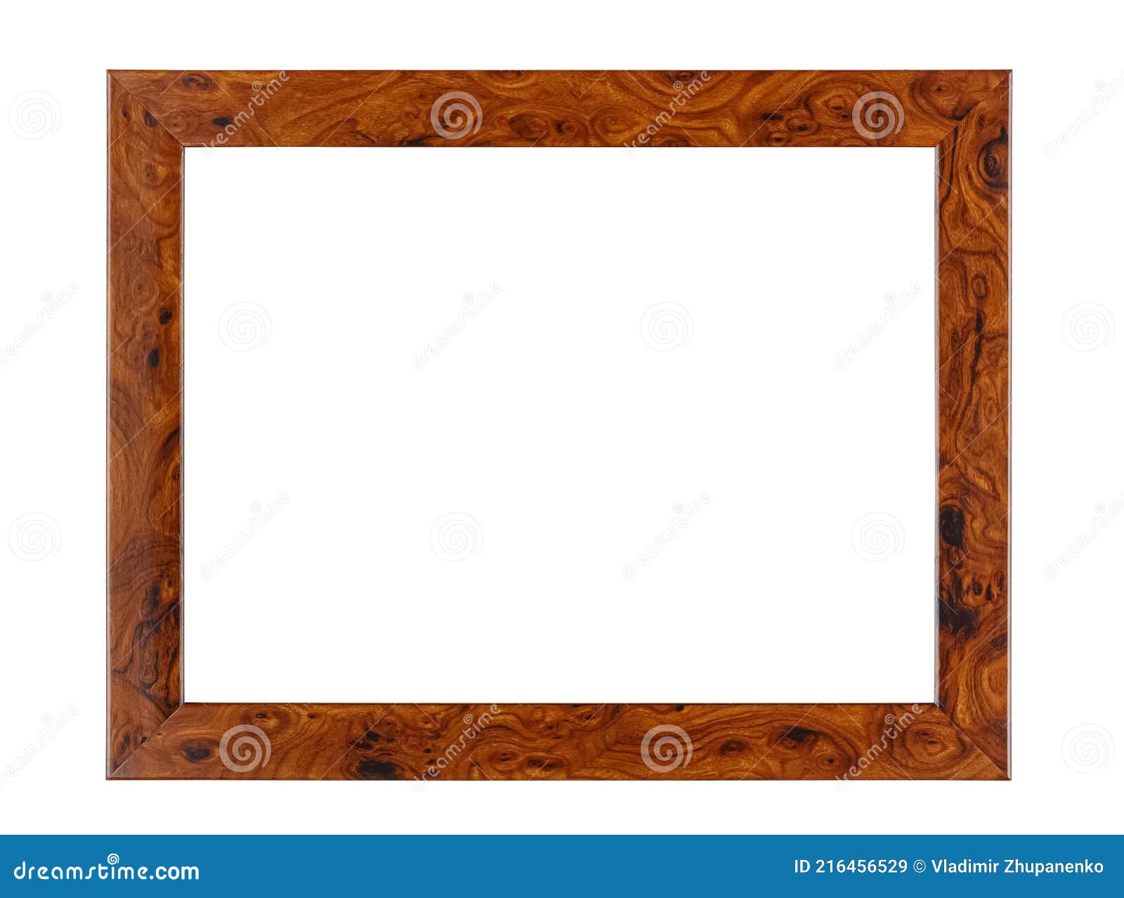Empty Wooden Photo Frame with Tree Root Texture Border Isolated on ...