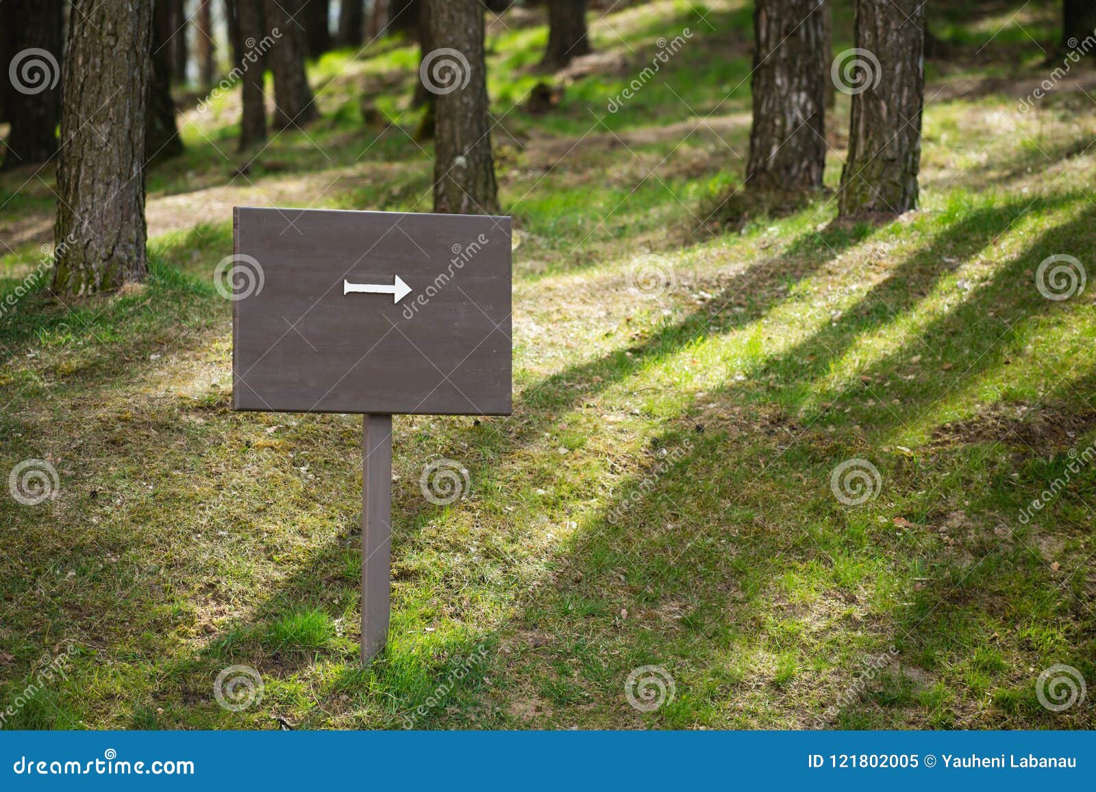 Empty wooden plaque stock image. Image of ecology, plaque - 121802005