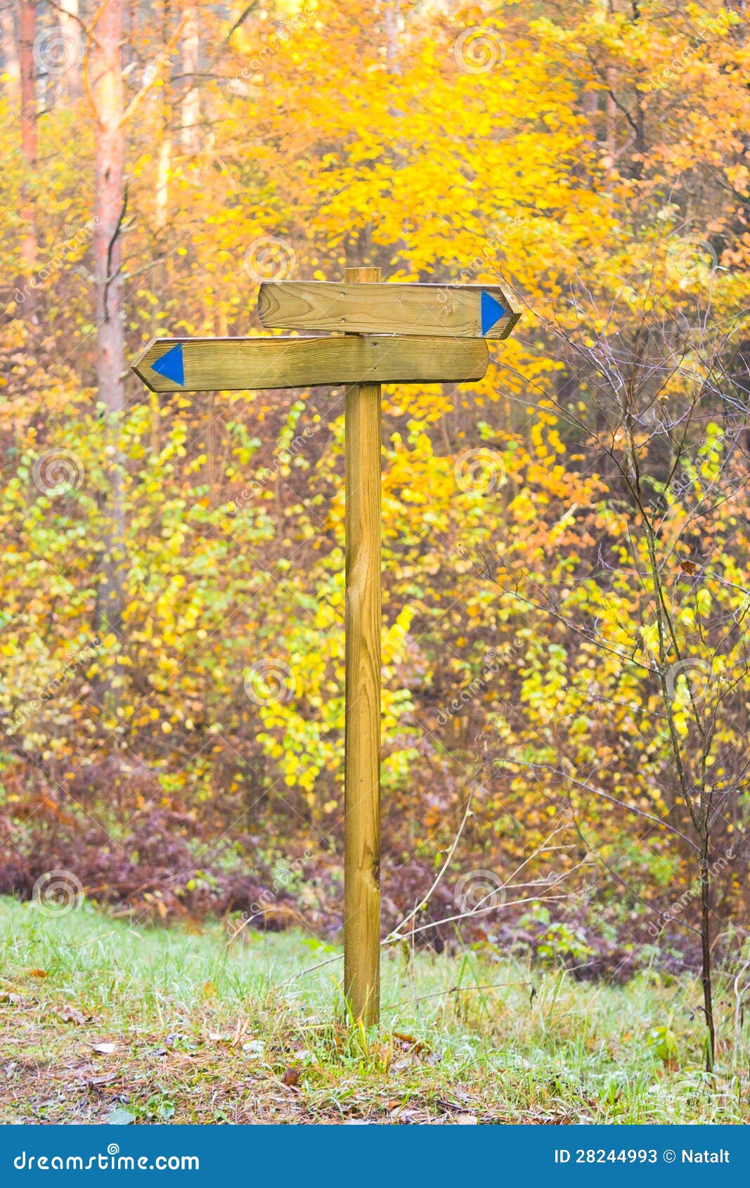 Empty wooden sign stock image. Image of board, cutout - 28244993