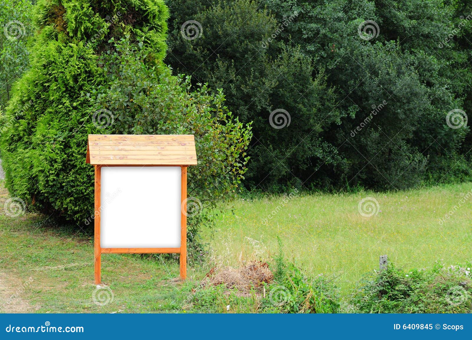 Empty wooden sign stock image. Image of park, area, reservation - 6409845