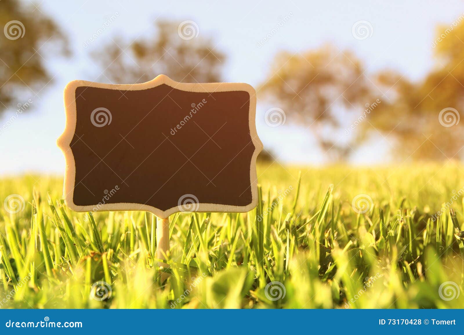 Empty Wooden Sign in the Forest, Garden or Park Stock Photo - Image of ...