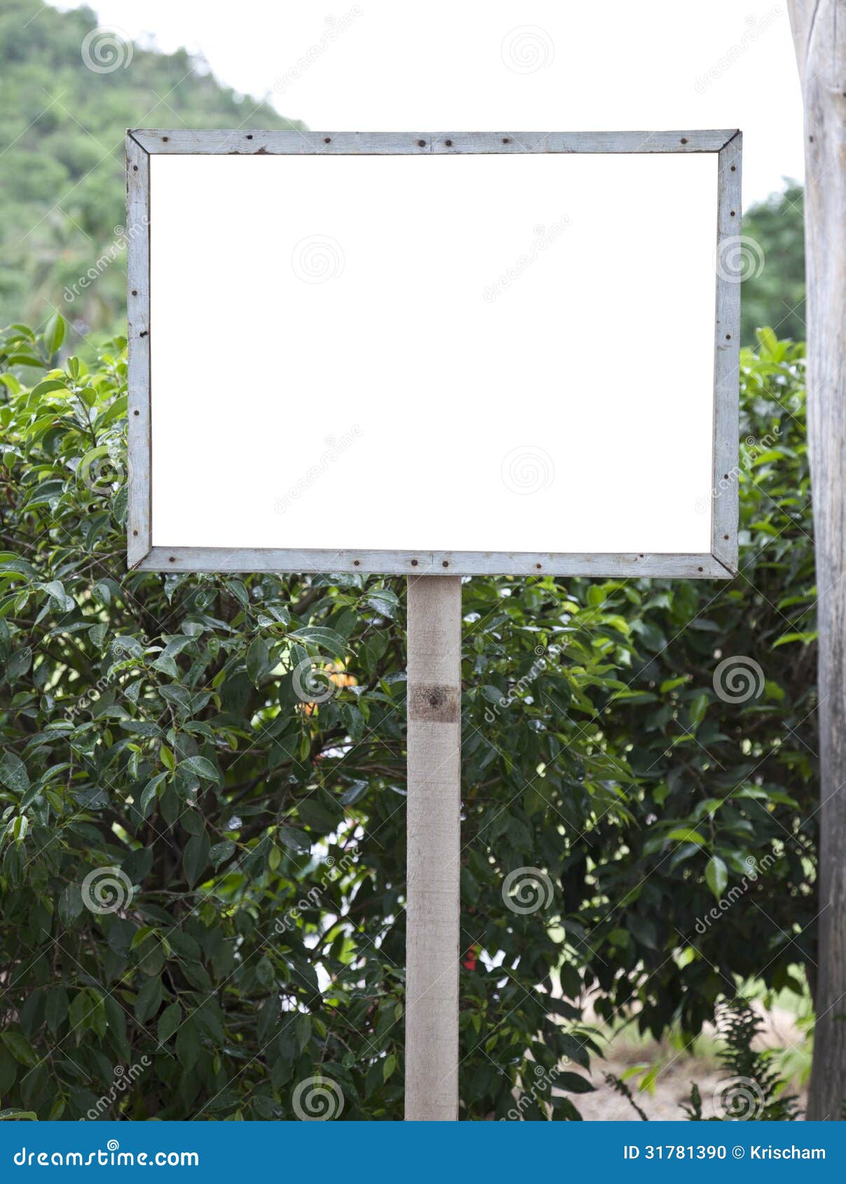 Empty wooden sign stock photo. Image of signal, directional - 31781390