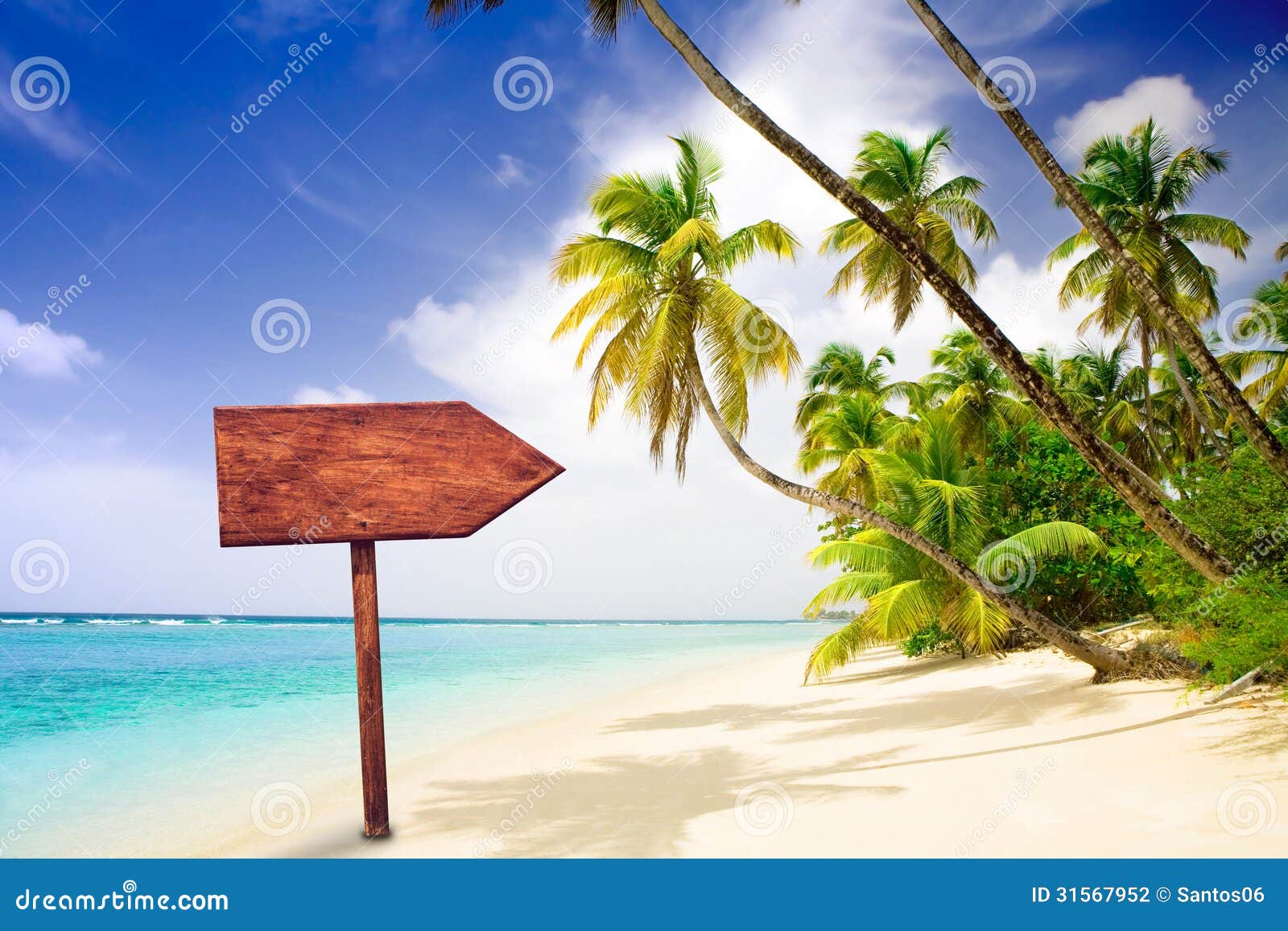 Empty Wooden Signpost at Tropical Beach Stock Photo - Image of ...