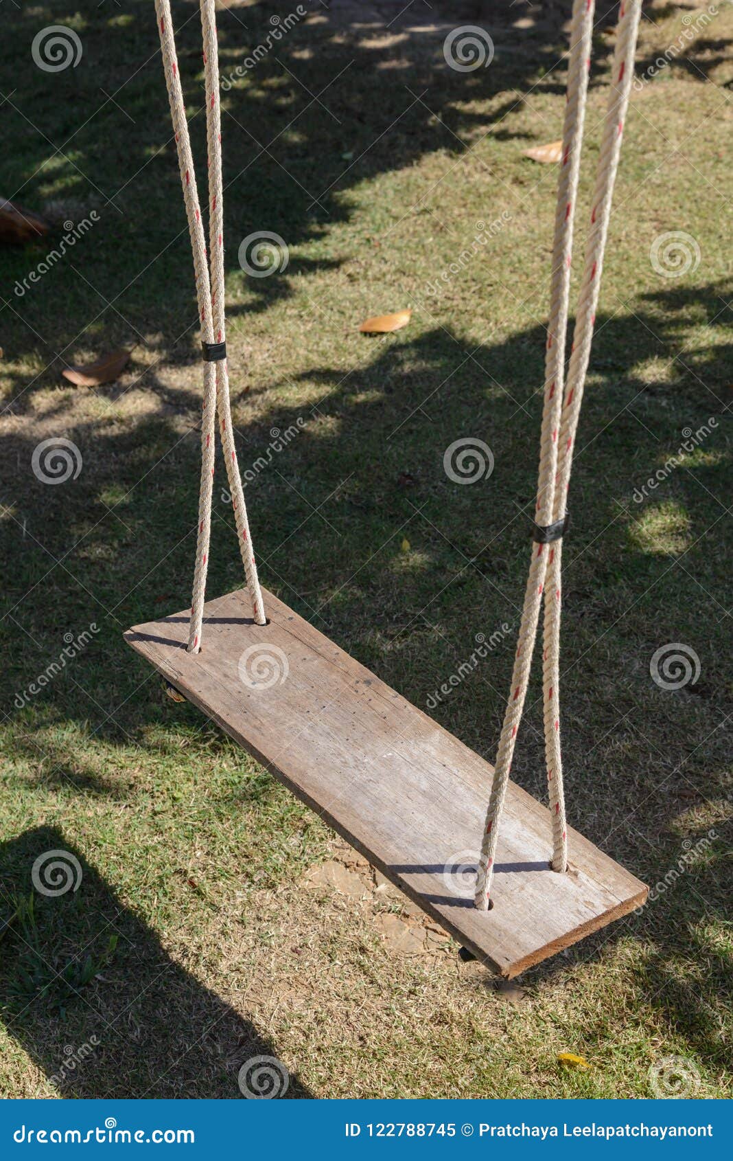 Wooden Swing Hanging from a Large Tree with Sunlight in the Garden ...