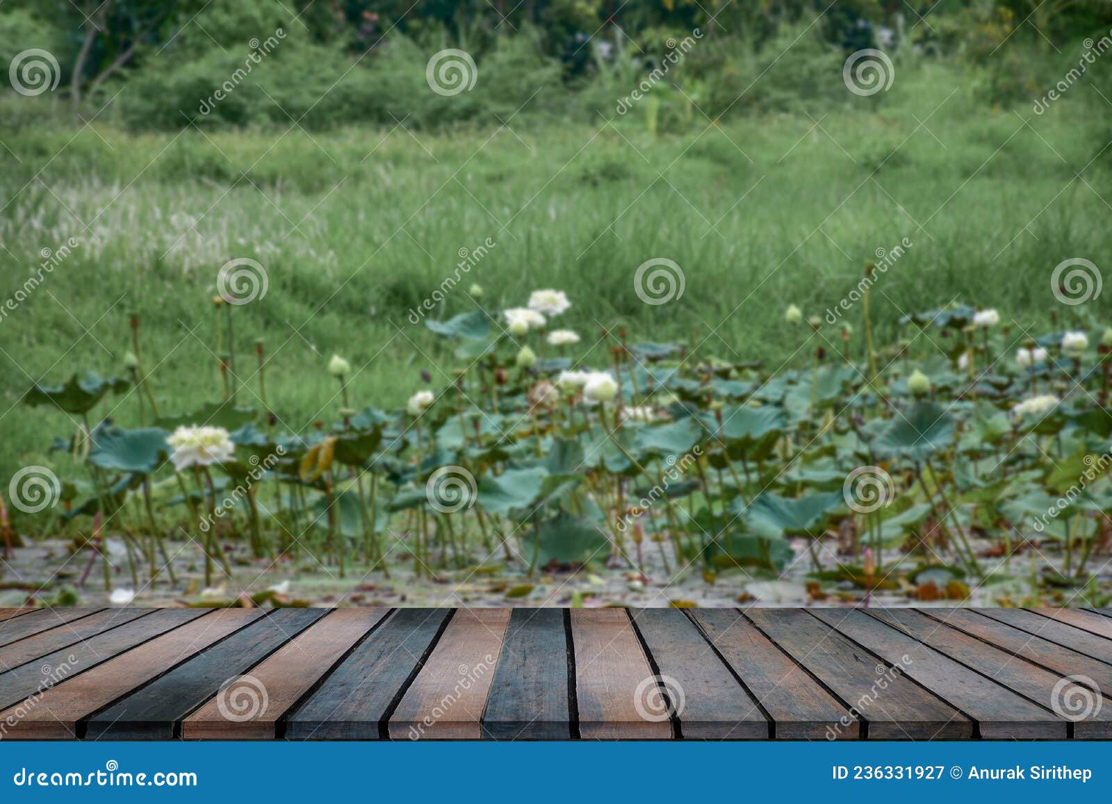 Empty Wooden Table in Front of a Puddle of Water. Stock Image - Image ...