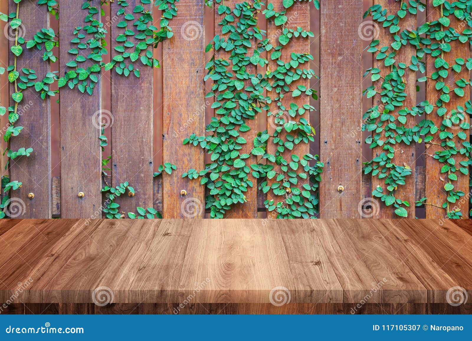 Empty Wooden Table with Wood and Vine Wall Background Stock Image ...