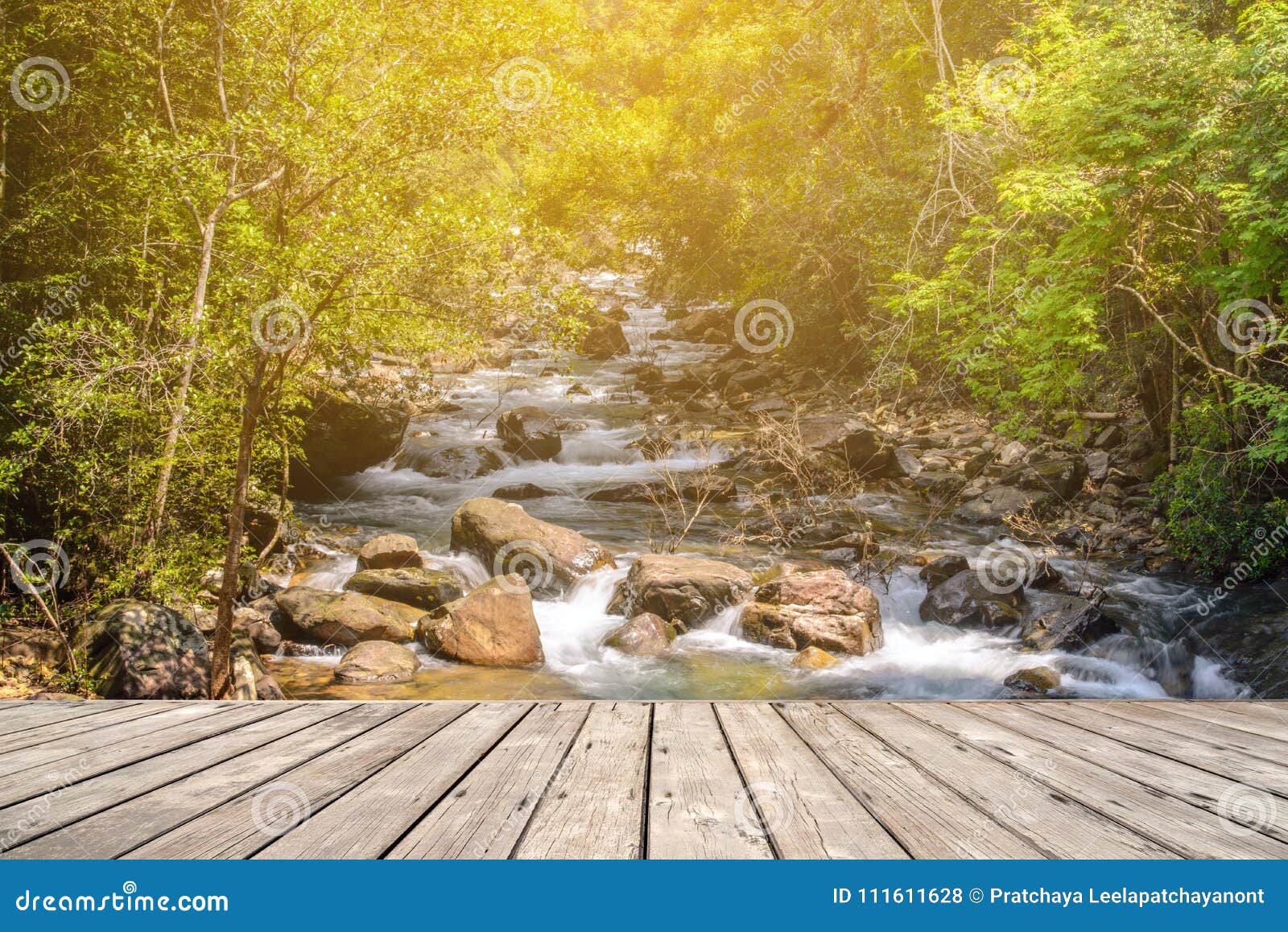 Empty Wooden Terrace with Stream in Forest Stock Photo - Image of empty ...
