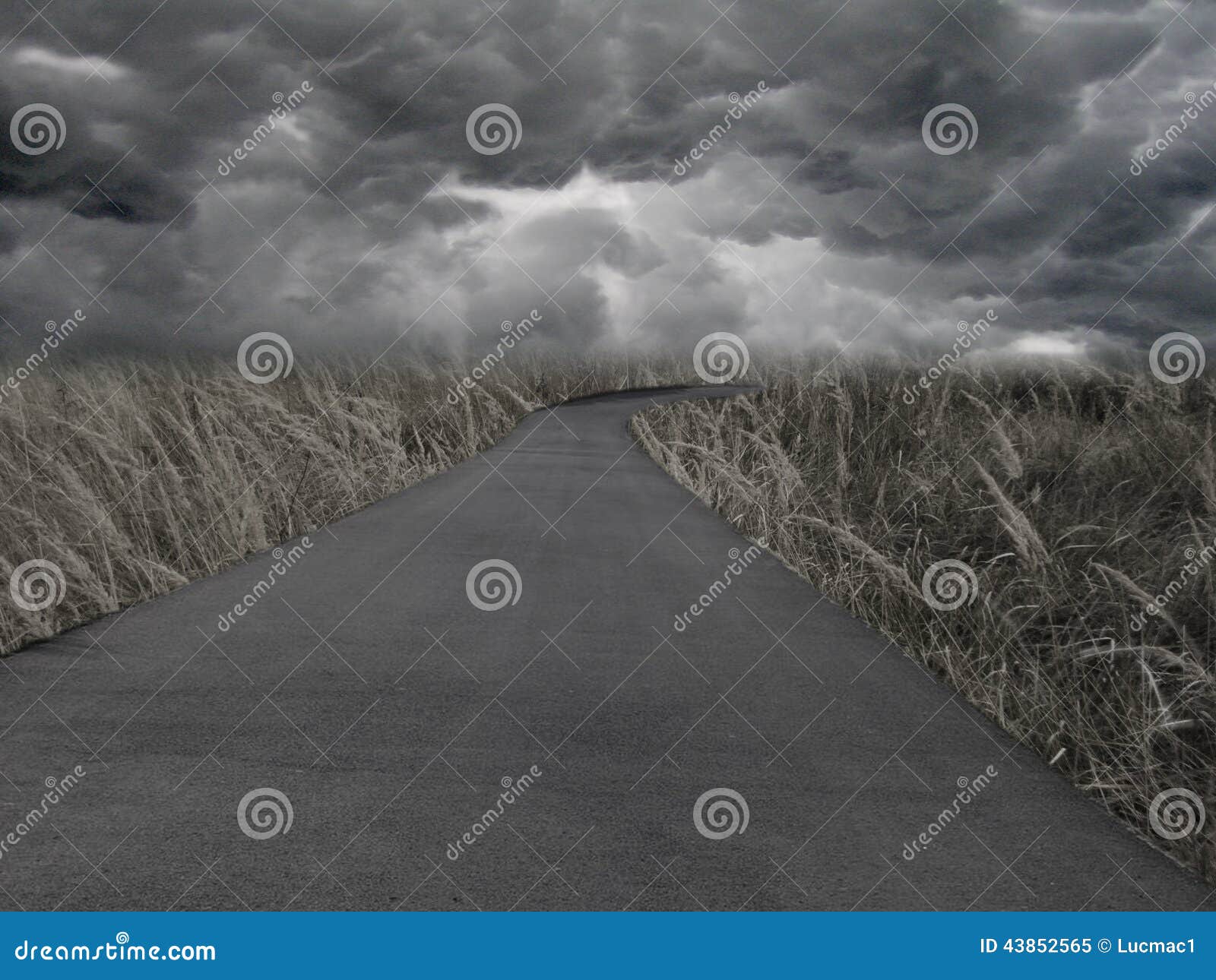 Empty World stock image. Image of apocalyptic, artistic - 43852565