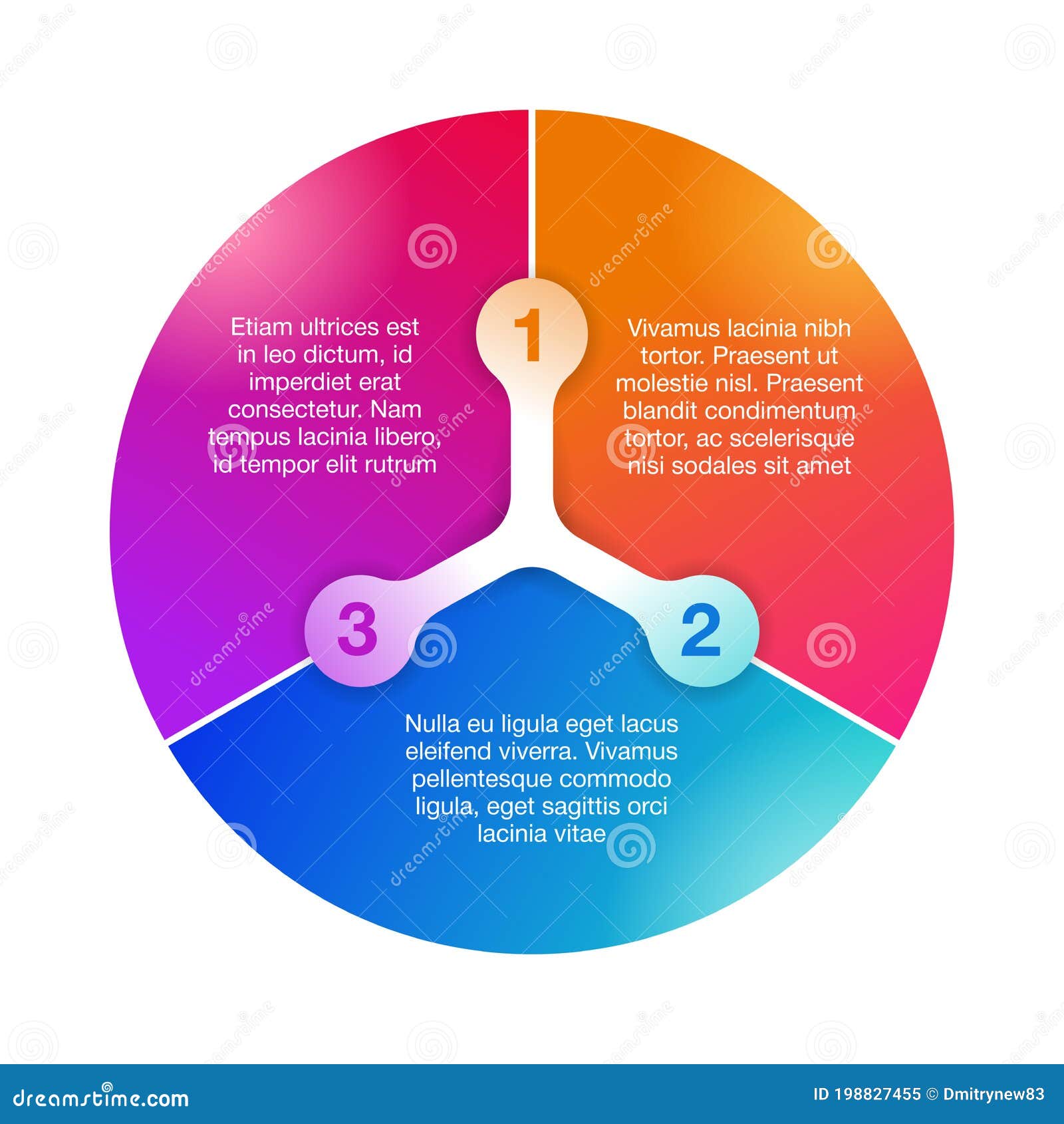Infographics with Three Points in Segment Form Stock Vector ...