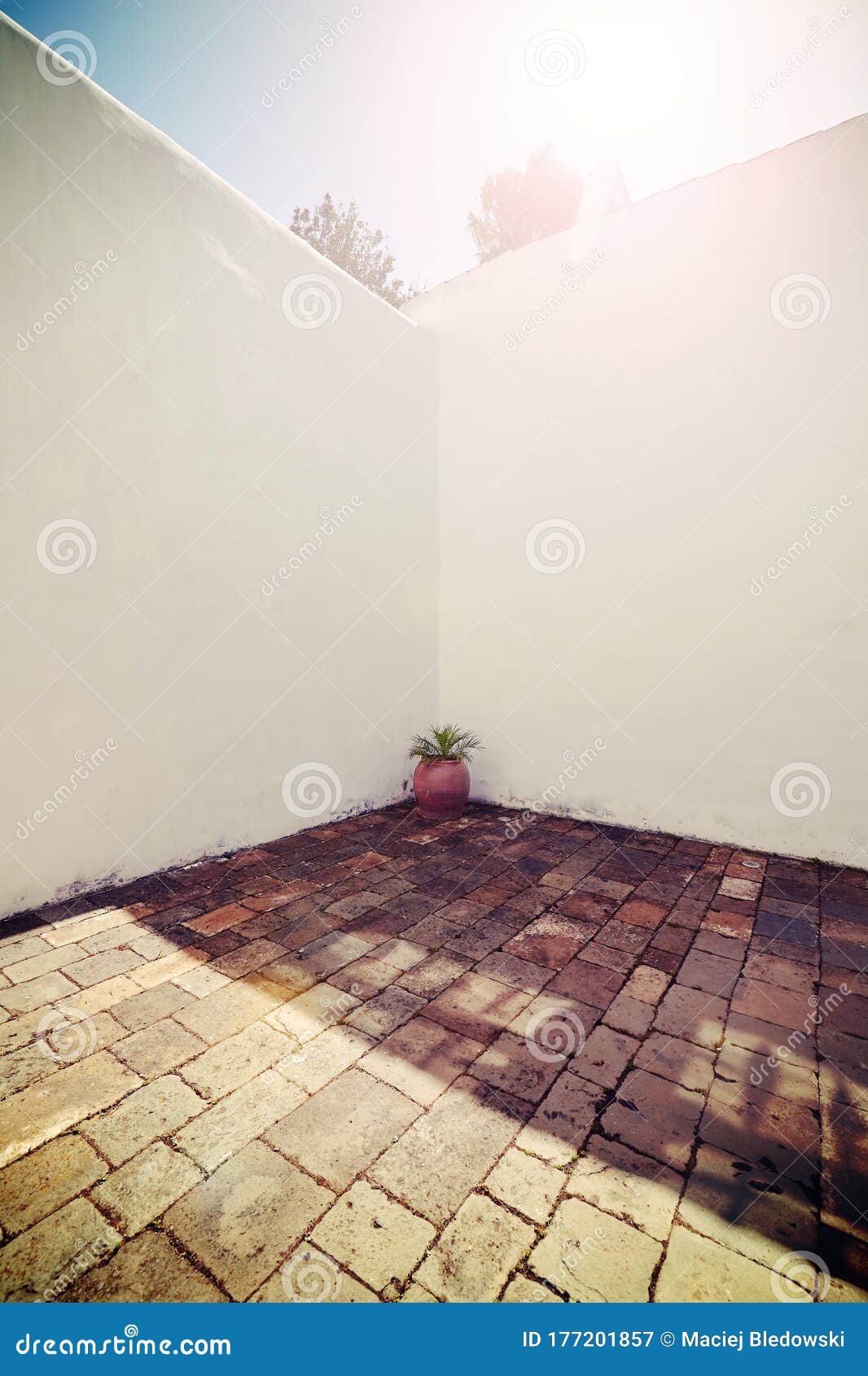 Empty Yard with Flowerpot with Harsh Sunlight Stock Image - Image of ...