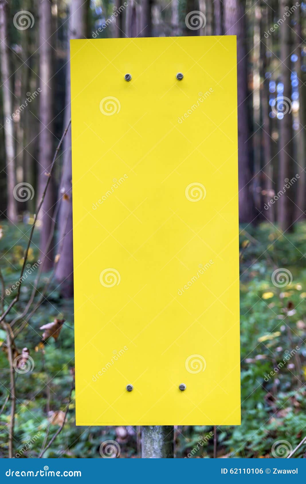 Empty Yellow Sign in Forest Stock Photo - Image of garden, background ...