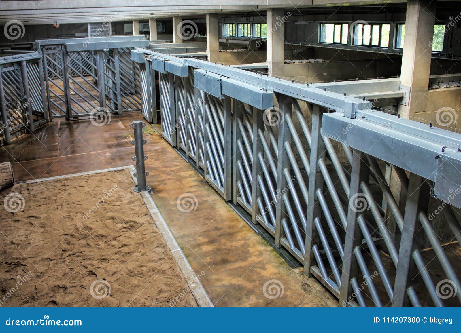 An Empty Zoo Aviary. No Animals in Corral. Stock Photo - Image of bench ...