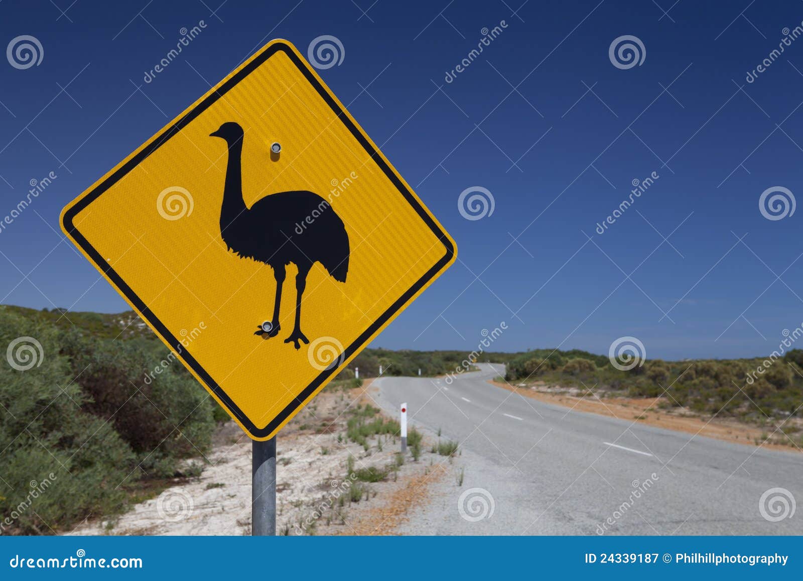 Emu sign stock image. Image of travel, signpost, australia - 24339187