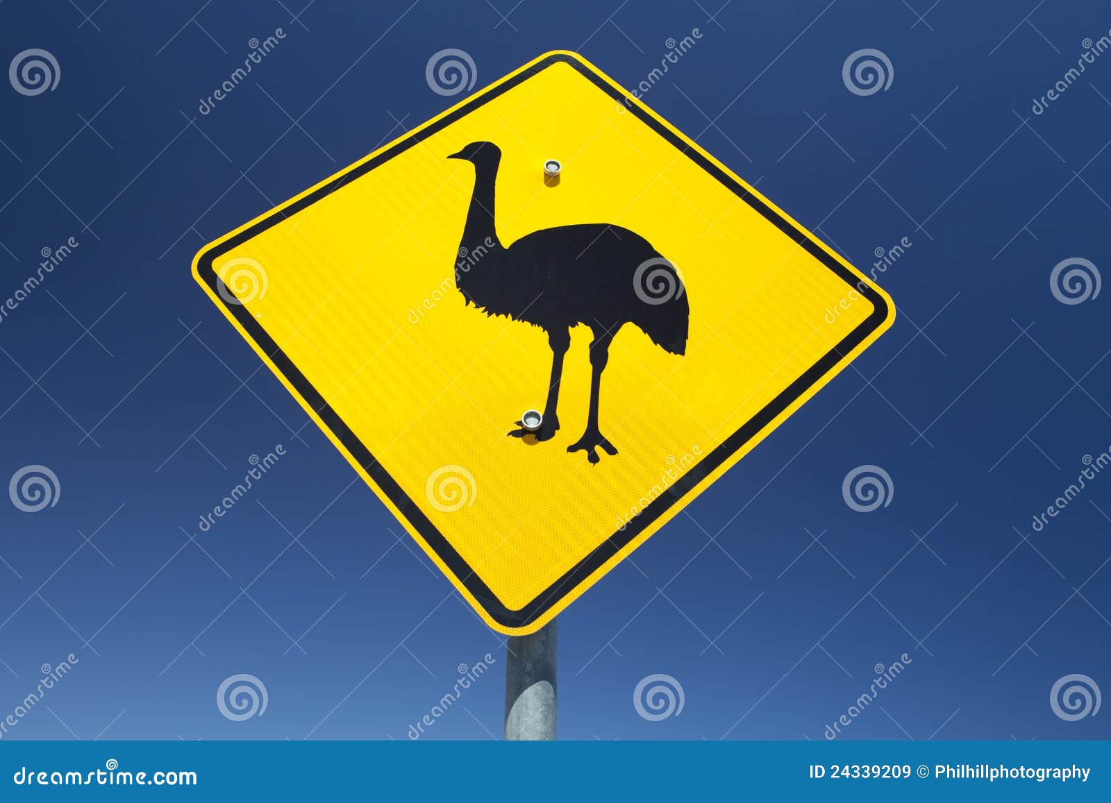 Emu sign stock image. Image of road, australia, travel - 24339209