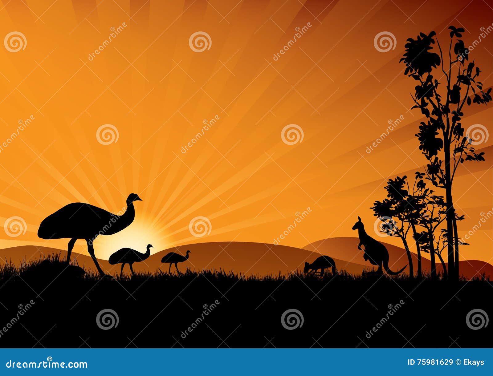 Emu in sunset stock vector. Illustration of outback, scenic - 75981629