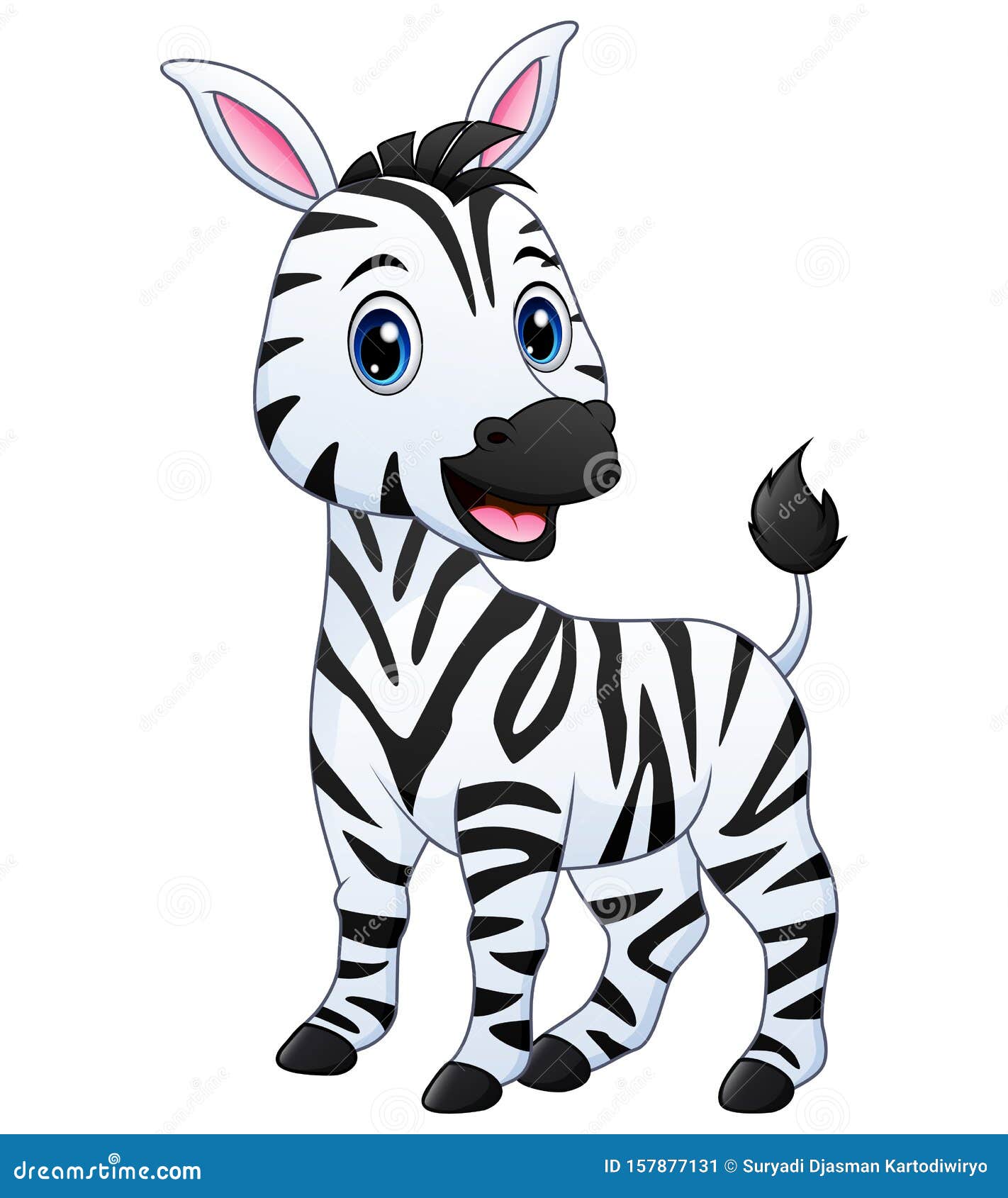 En babyzebra-teckning vektor illustrationer. Illustration av posera ...