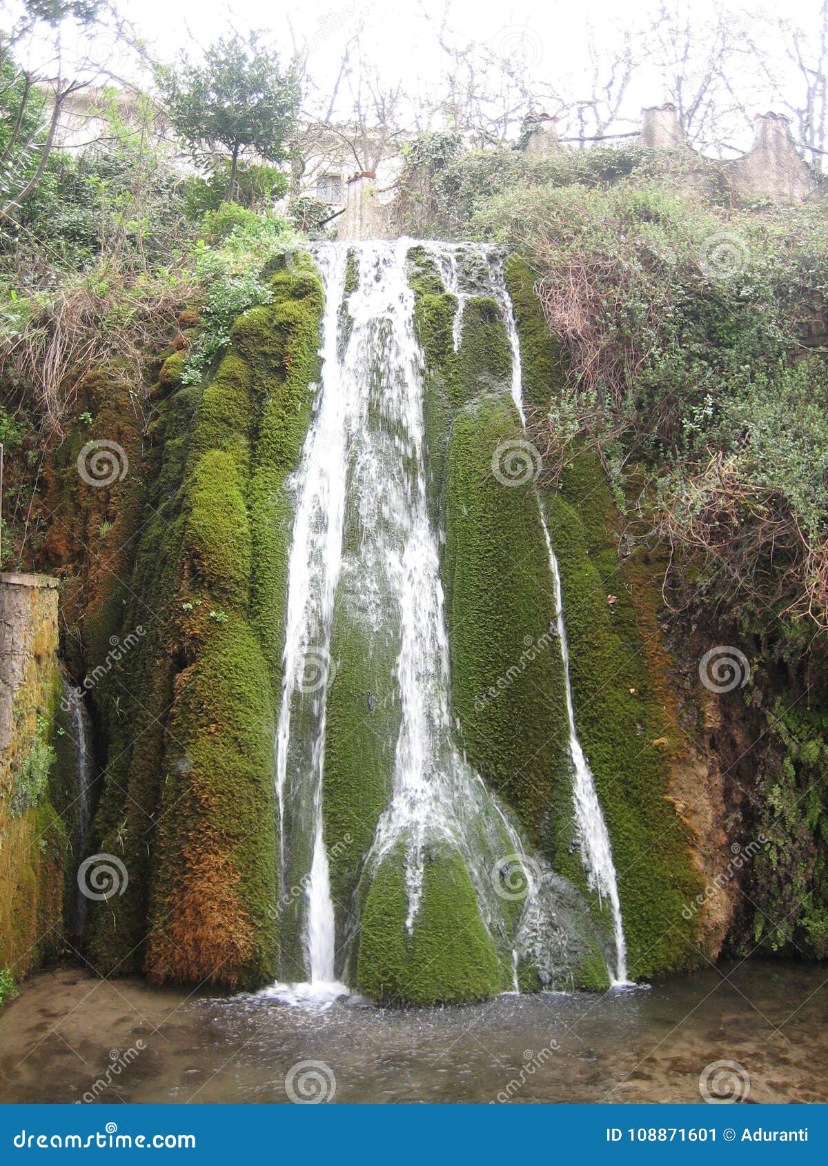En Kaskad Med Frodig Vegetation Under Den Fotografering för Bildbyråer ...