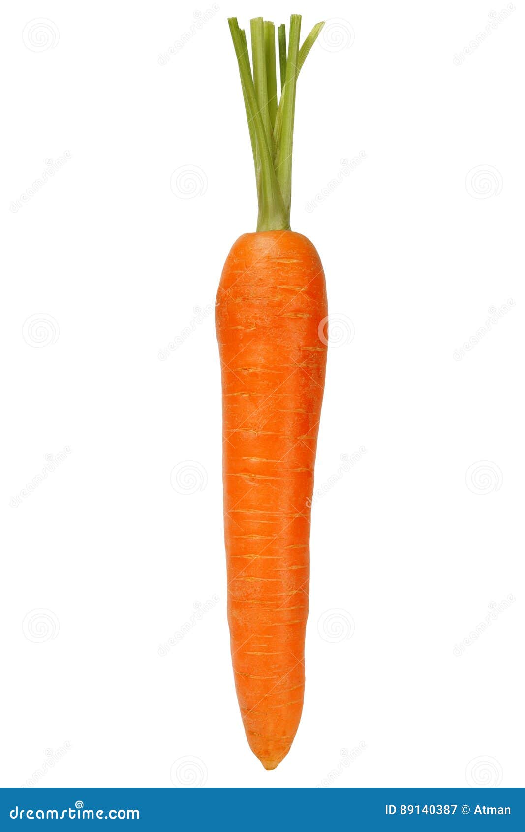 En morot på vit bakgrund fotografering för bildbyråer. Bild av grönsak ...