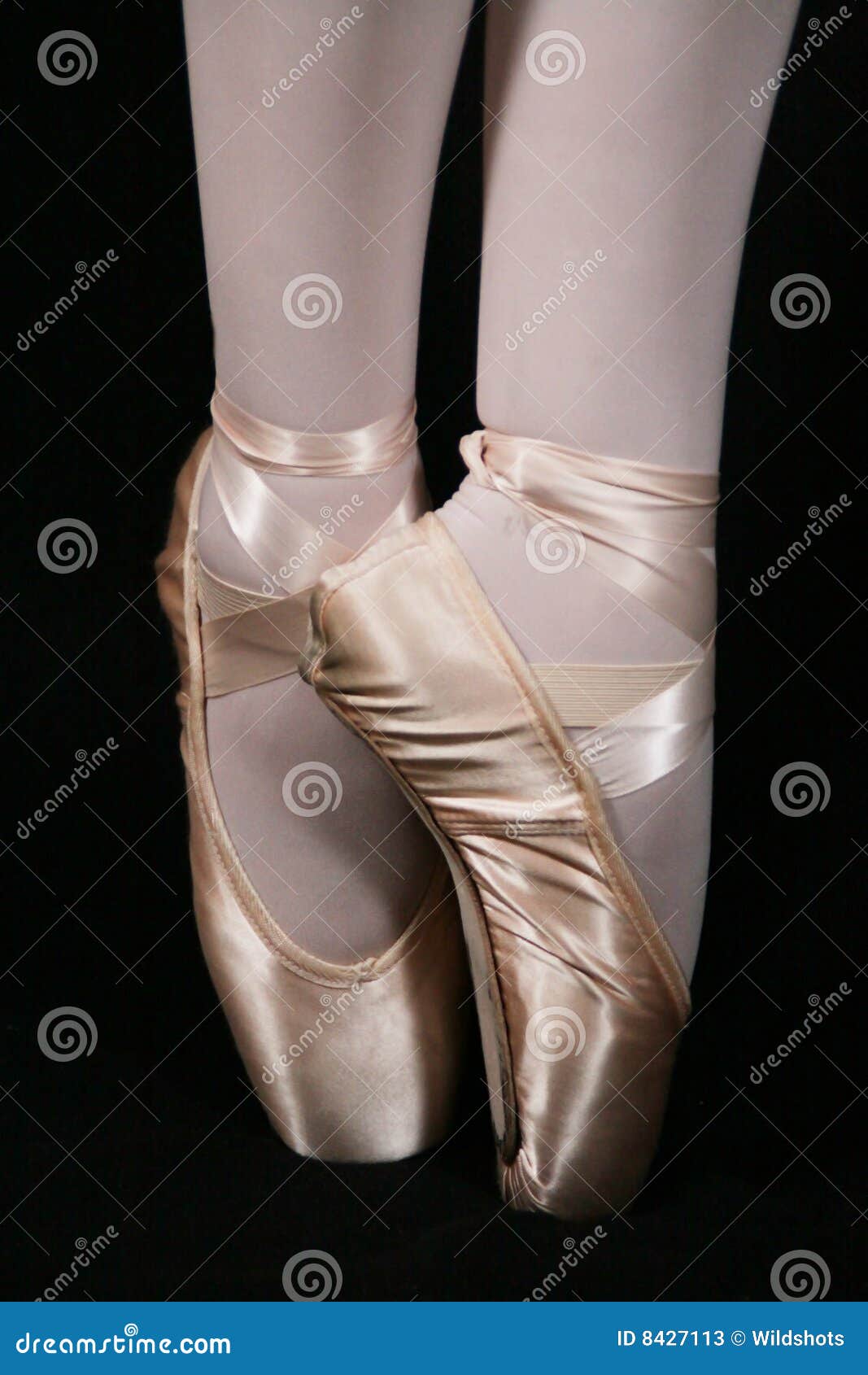 En Pointe stock image. Image of shoe, fashion, slipper - 8427113