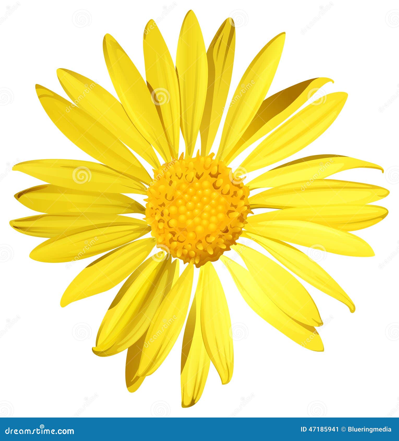 En solros vektor illustrationer. Illustration av dekor - 47185941