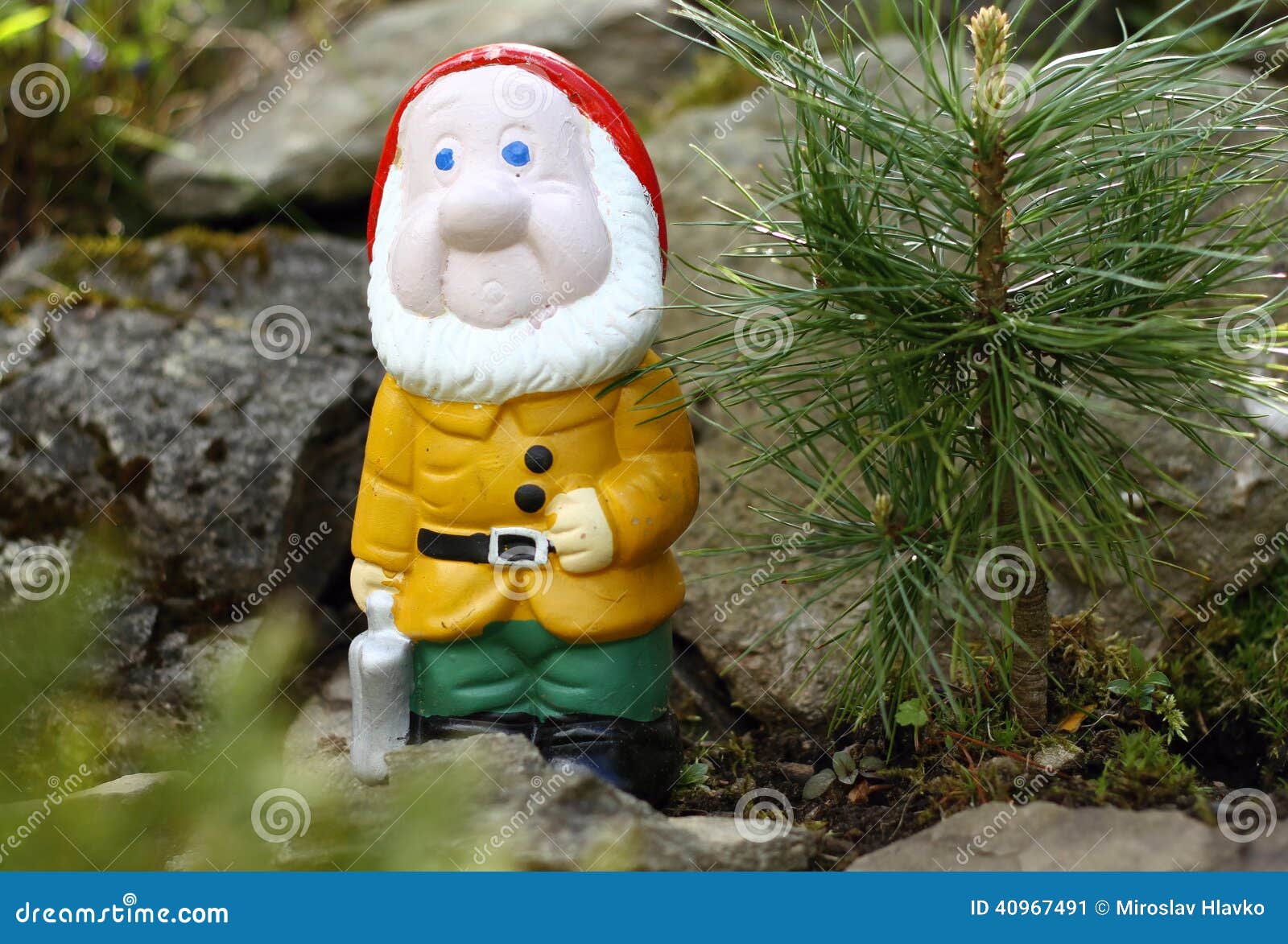 434 Enano Con La Barba Fotos - Libres de Derechos y Gratuitas de Dreamstime