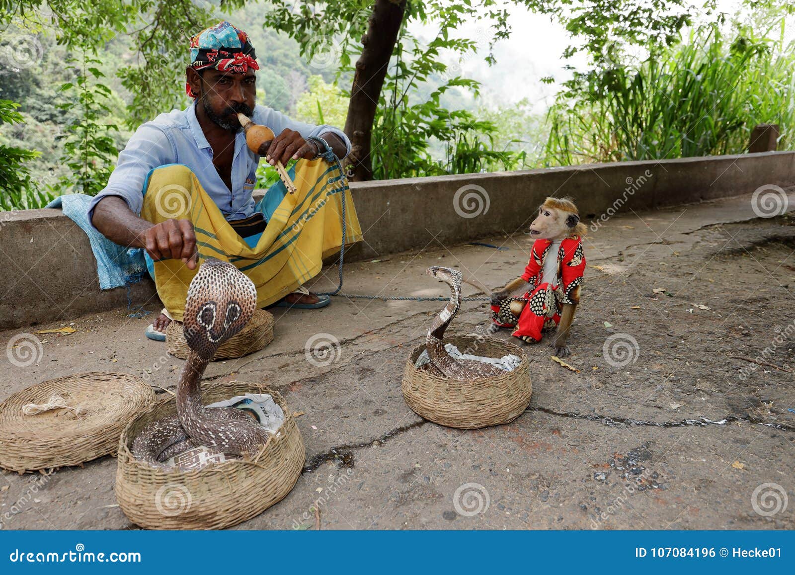 Encantador De Serpente Com a Cobra Em Sri Lanka Foto Editorial - Imagem ...