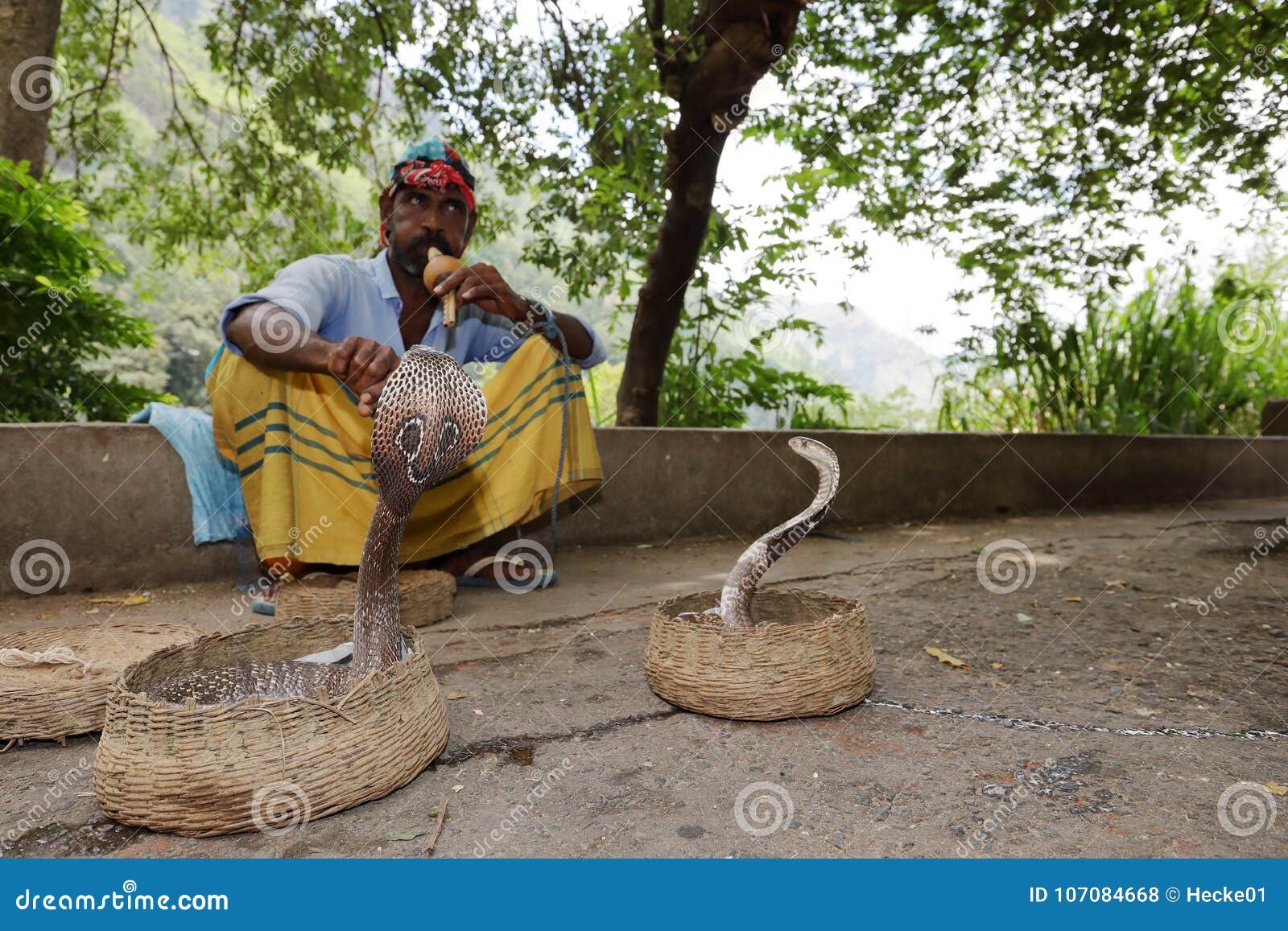 Encantador De Serpente Com a Cobra Em Sri Lanka Foto de Stock - Imagem ...