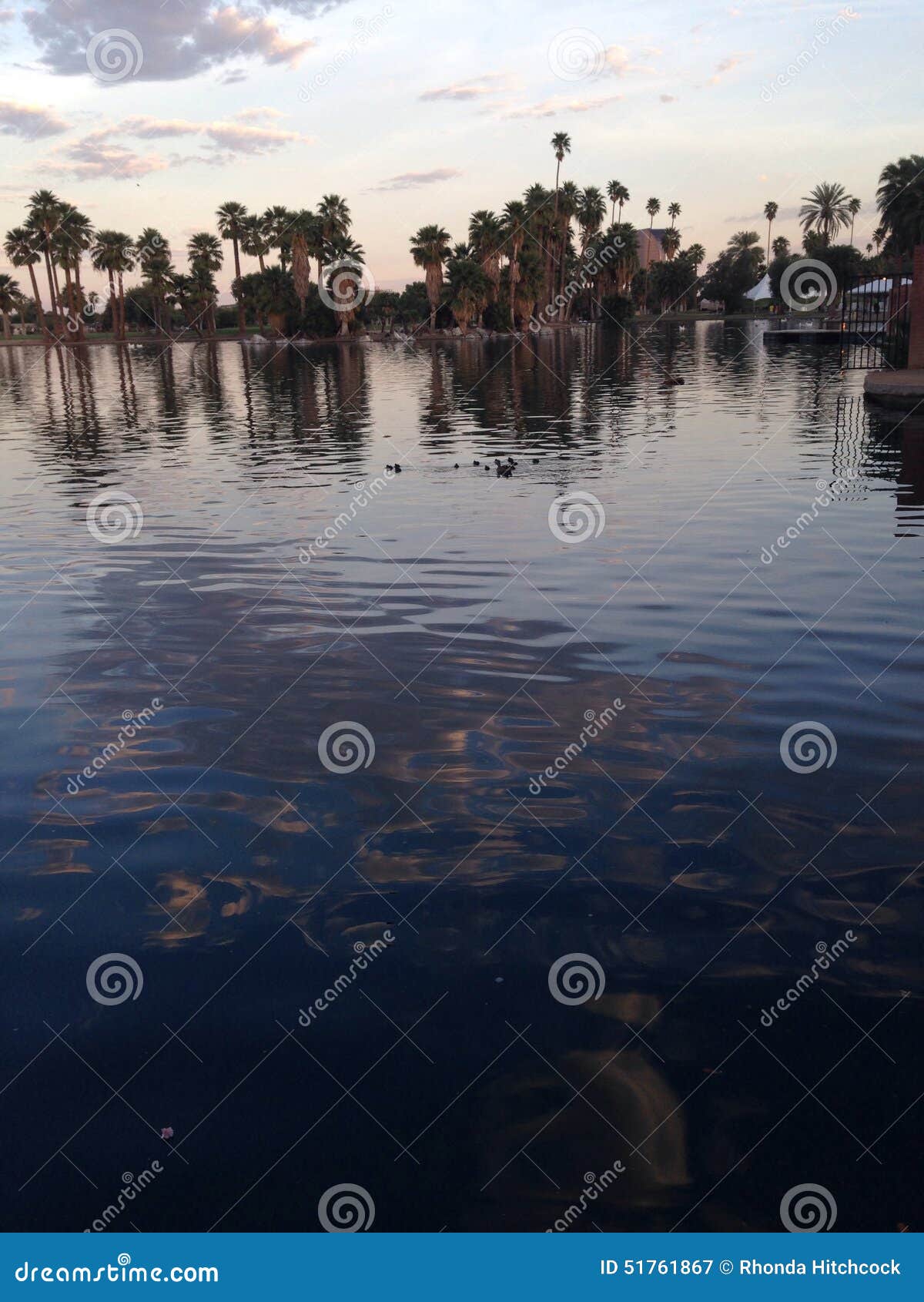 Encanto Park Phoenix Arizona Stock Image - Image of park, water: 51761867