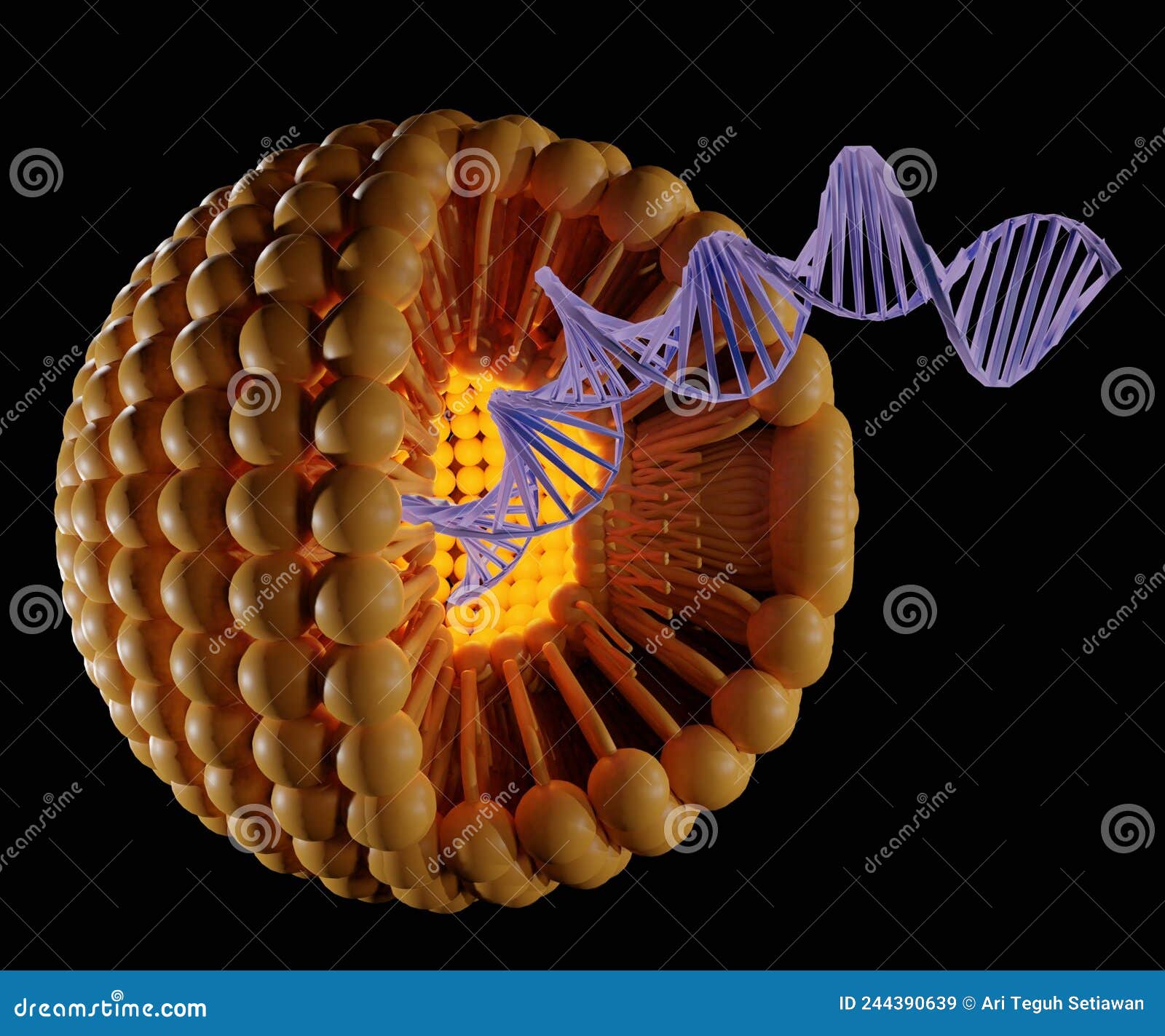 Liposomes Drug Delivery System Sheme Vector Illustration ...