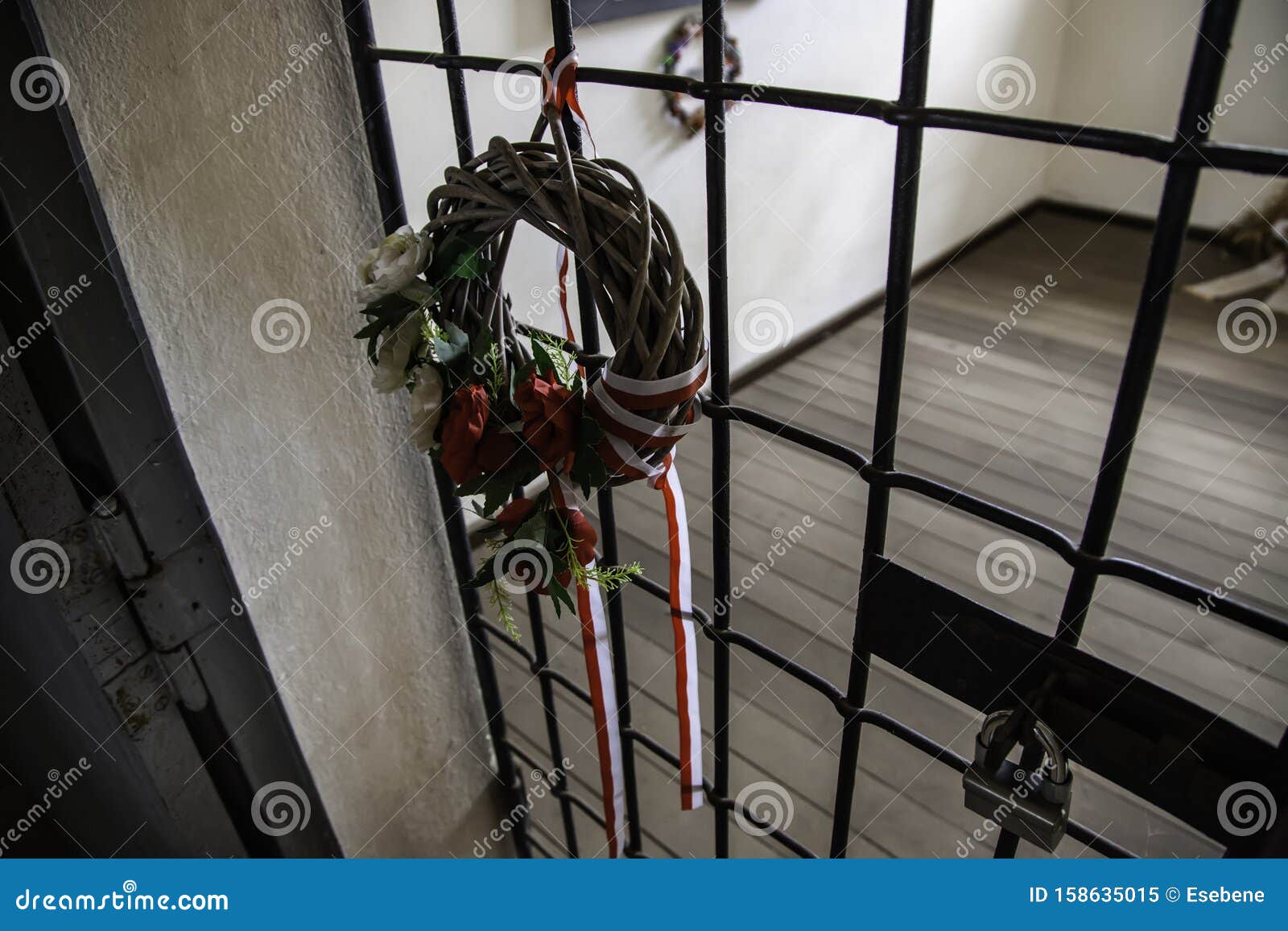 Encarcelar imagen editorial. Imagen de peligro, ilegal - 158635015