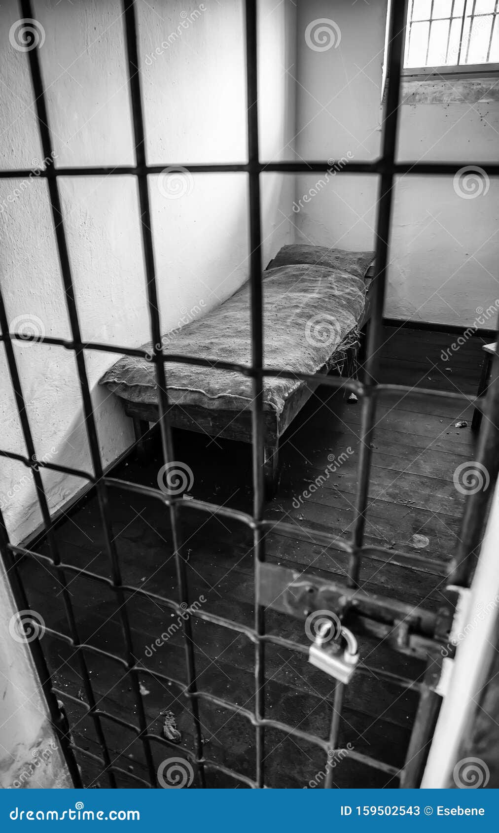 Encarcelar imagen de archivo. Imagen de delincuente - 159502543