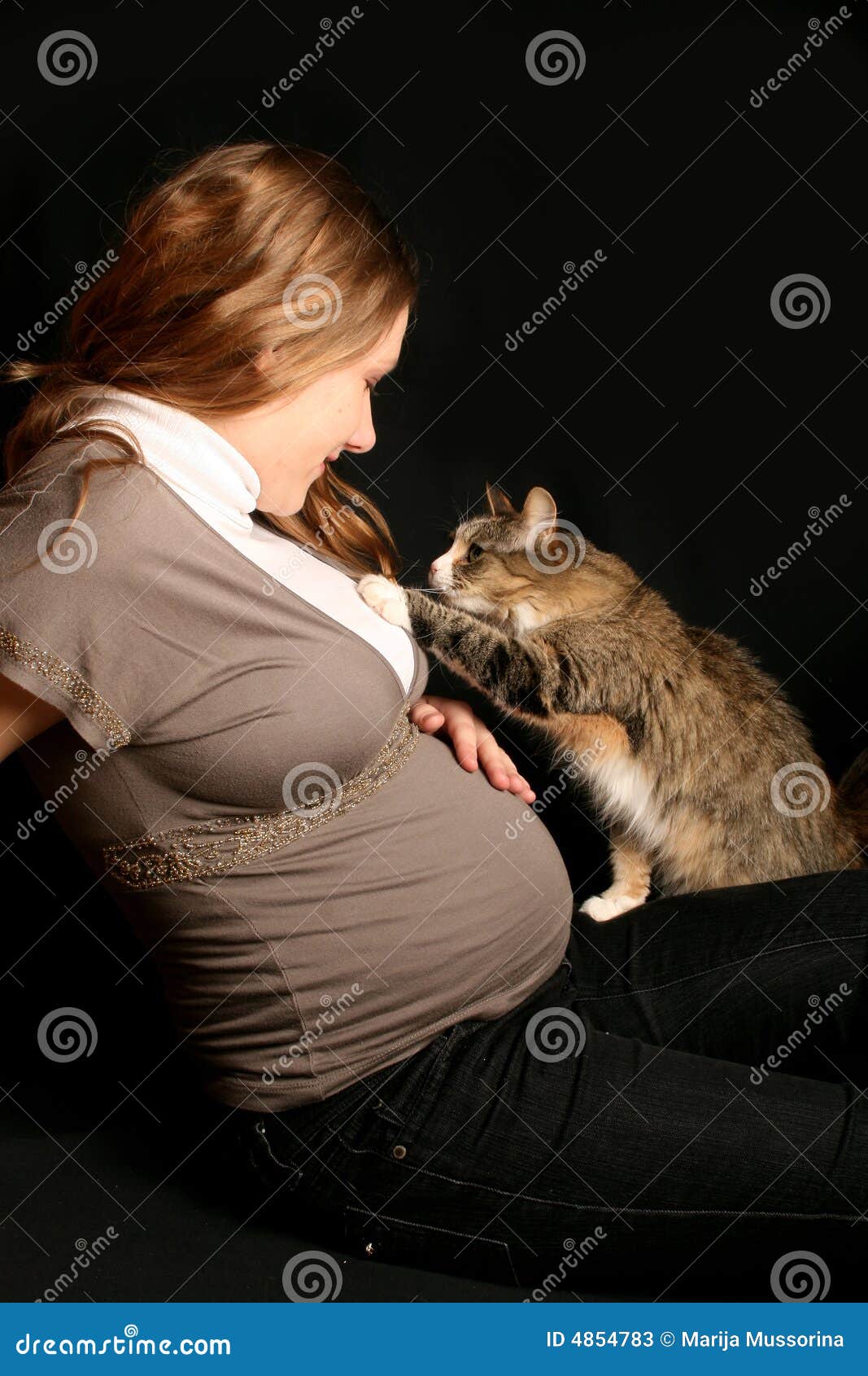 Enceinte avec le chat image stock. Image du animal, exprimer - 4854783